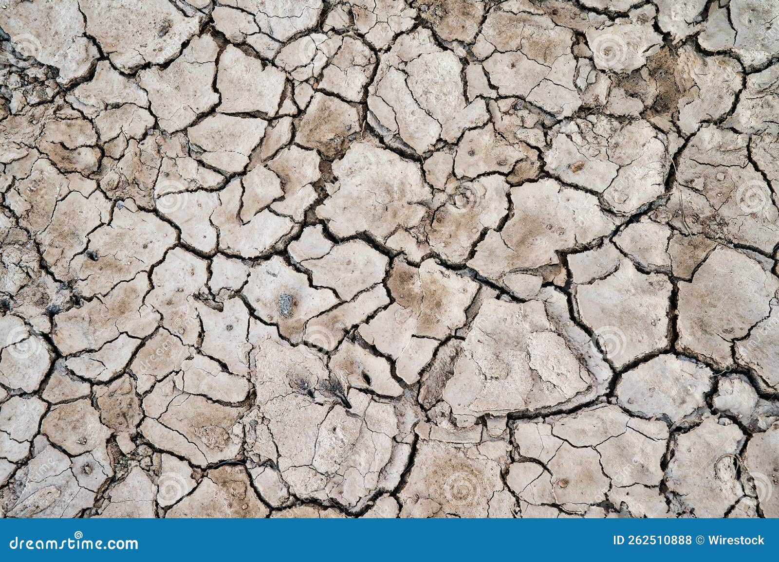 Dry cracked earth texture stock photo. Image of temperature - 262510888
