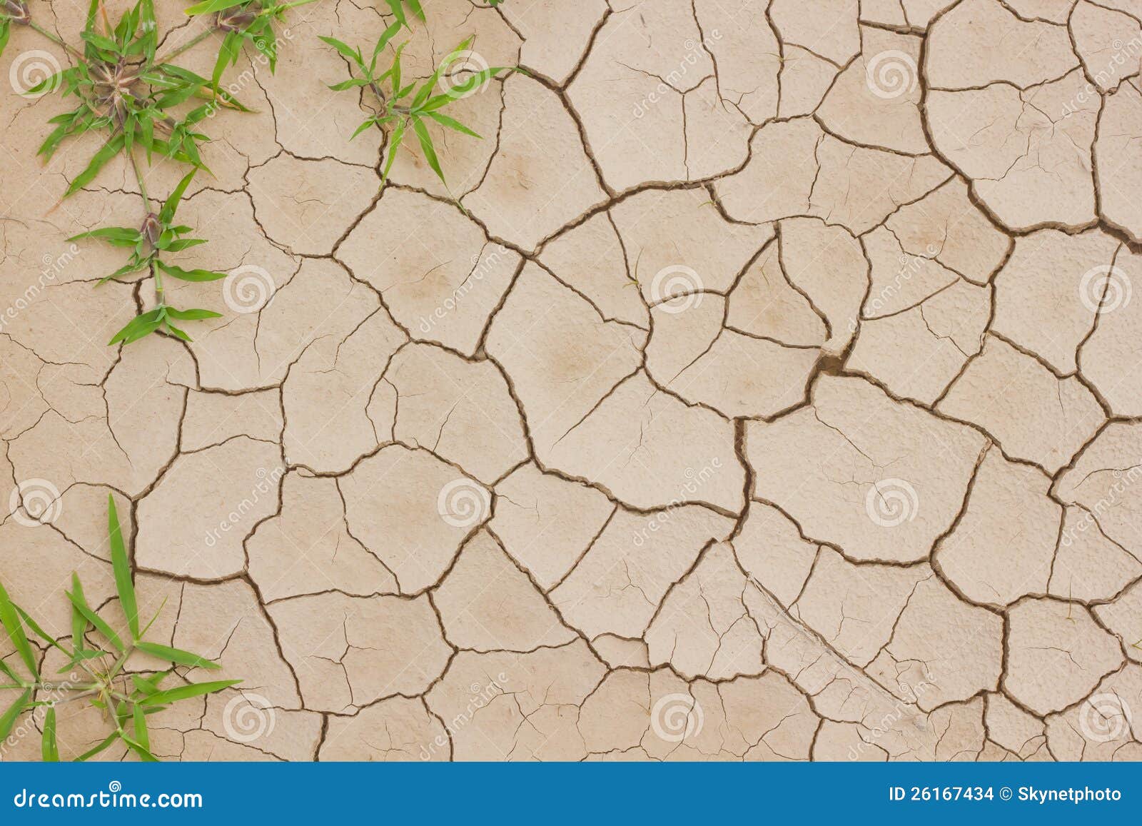 Dry cracked ground stock photo. Image of dirty, drought - 26167434