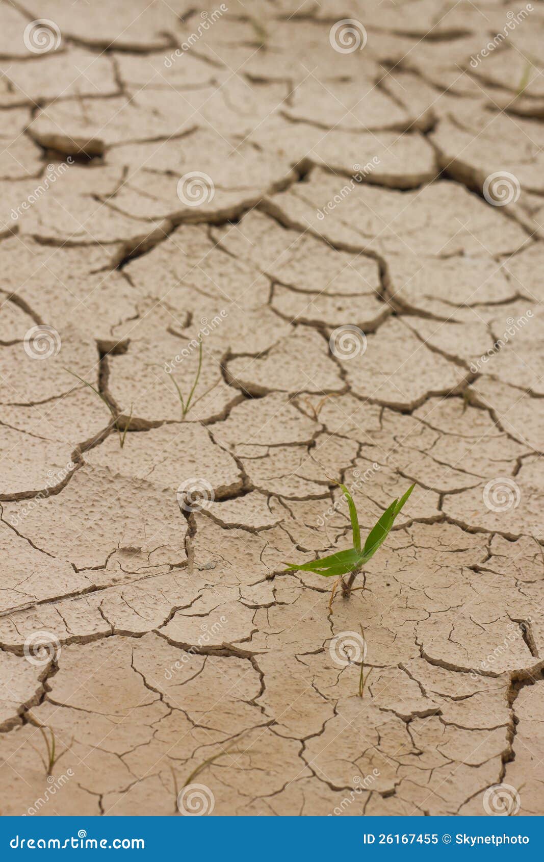 Dry cracked ground stock image. Image of nature, dirty - 26167455