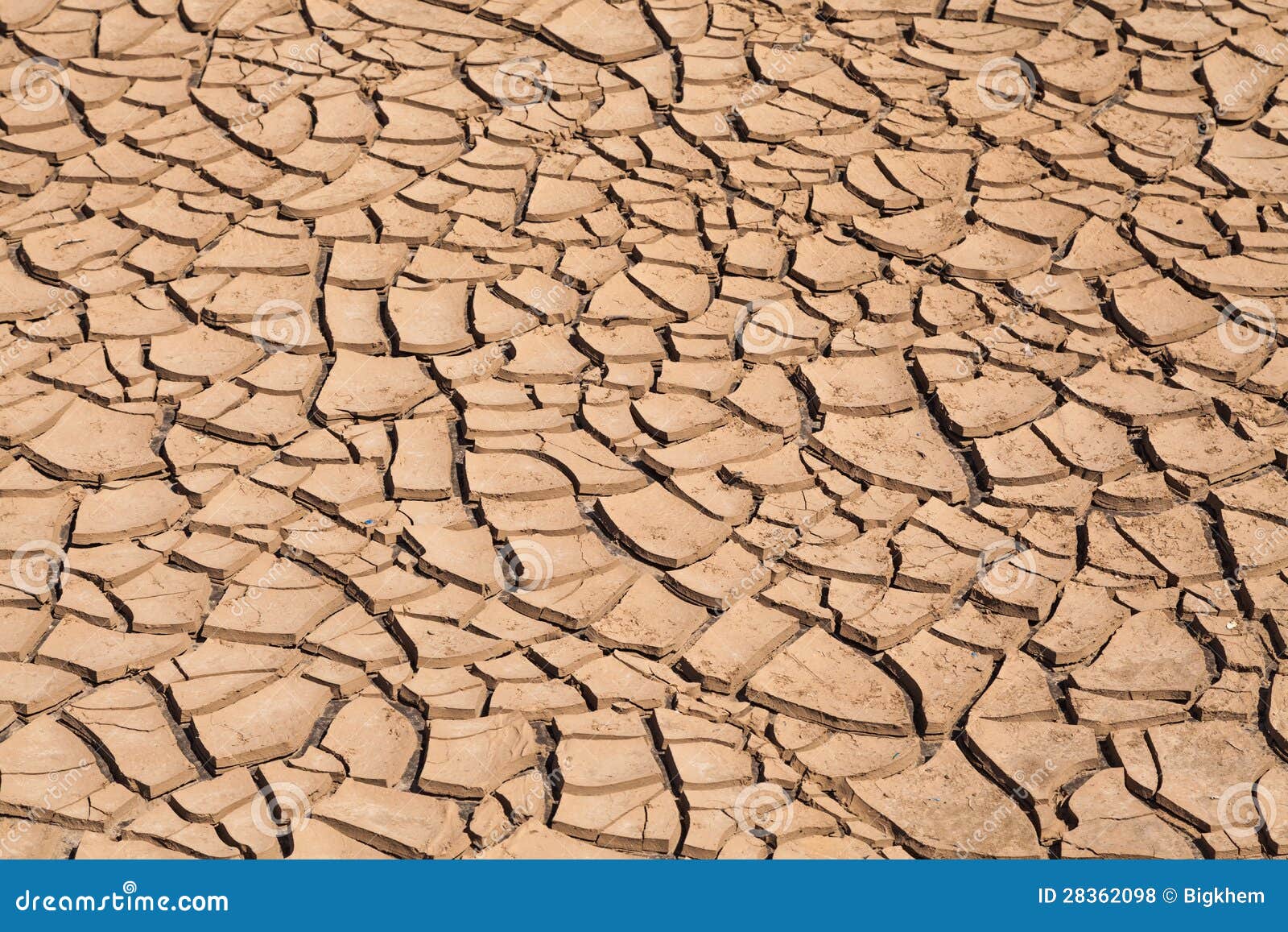 Dry cracked ground stock photo. Image of climate, abstract - 28362098