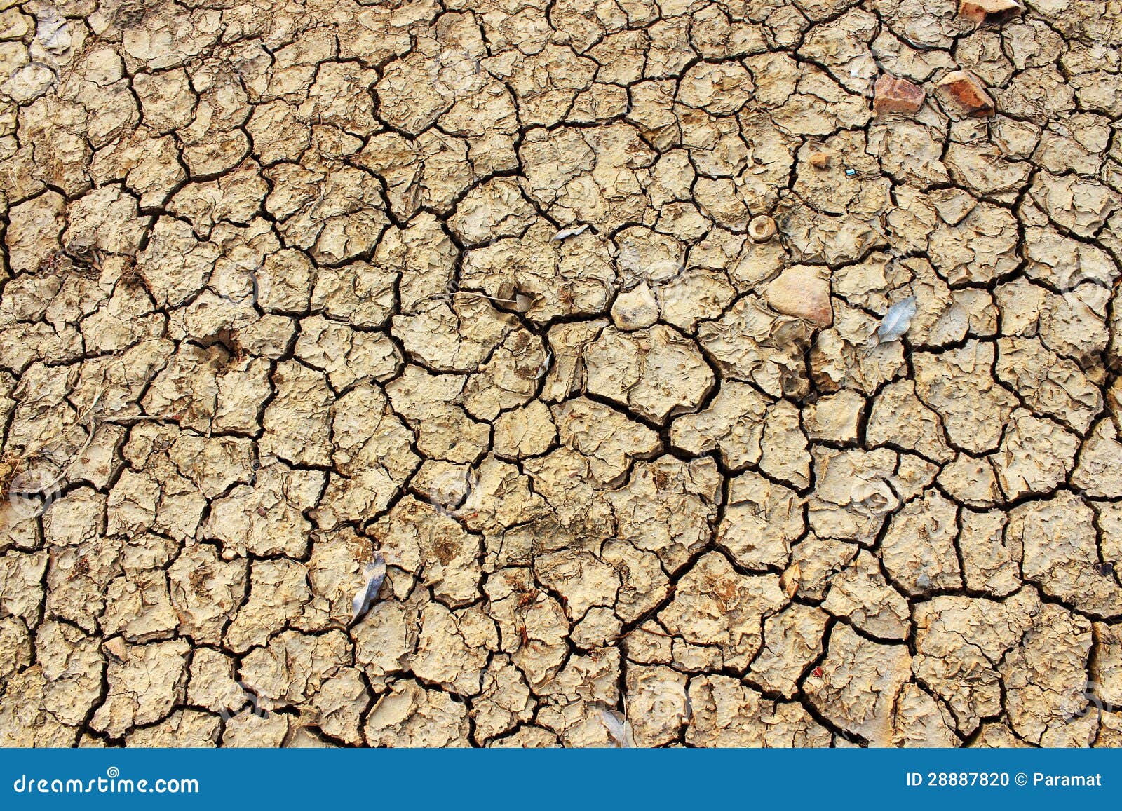 Dry cracked ground stock photo. Image of geology, barren - 28887820