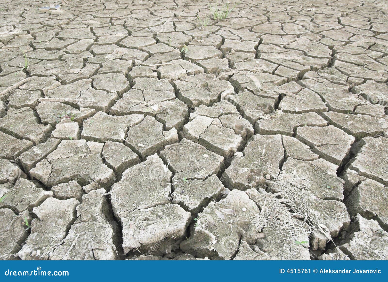 Dry Cracked Ground Becoming a Desert Stock Image - Image of ecology ...
