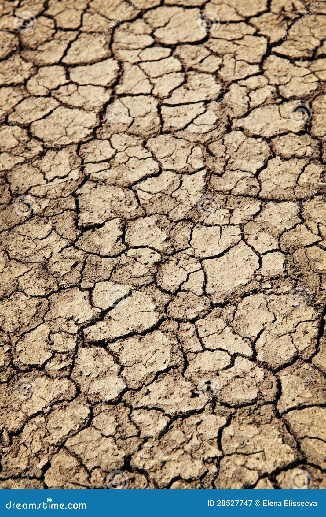 Dry Cracked Ground during Drought Stock Image - Image of crack, cracked ...