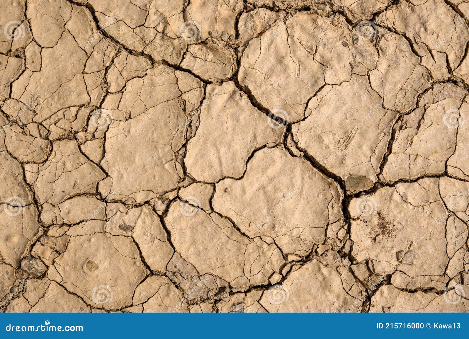 Dry and cracked ground. stock photo. Image of rain, drought - 215716000