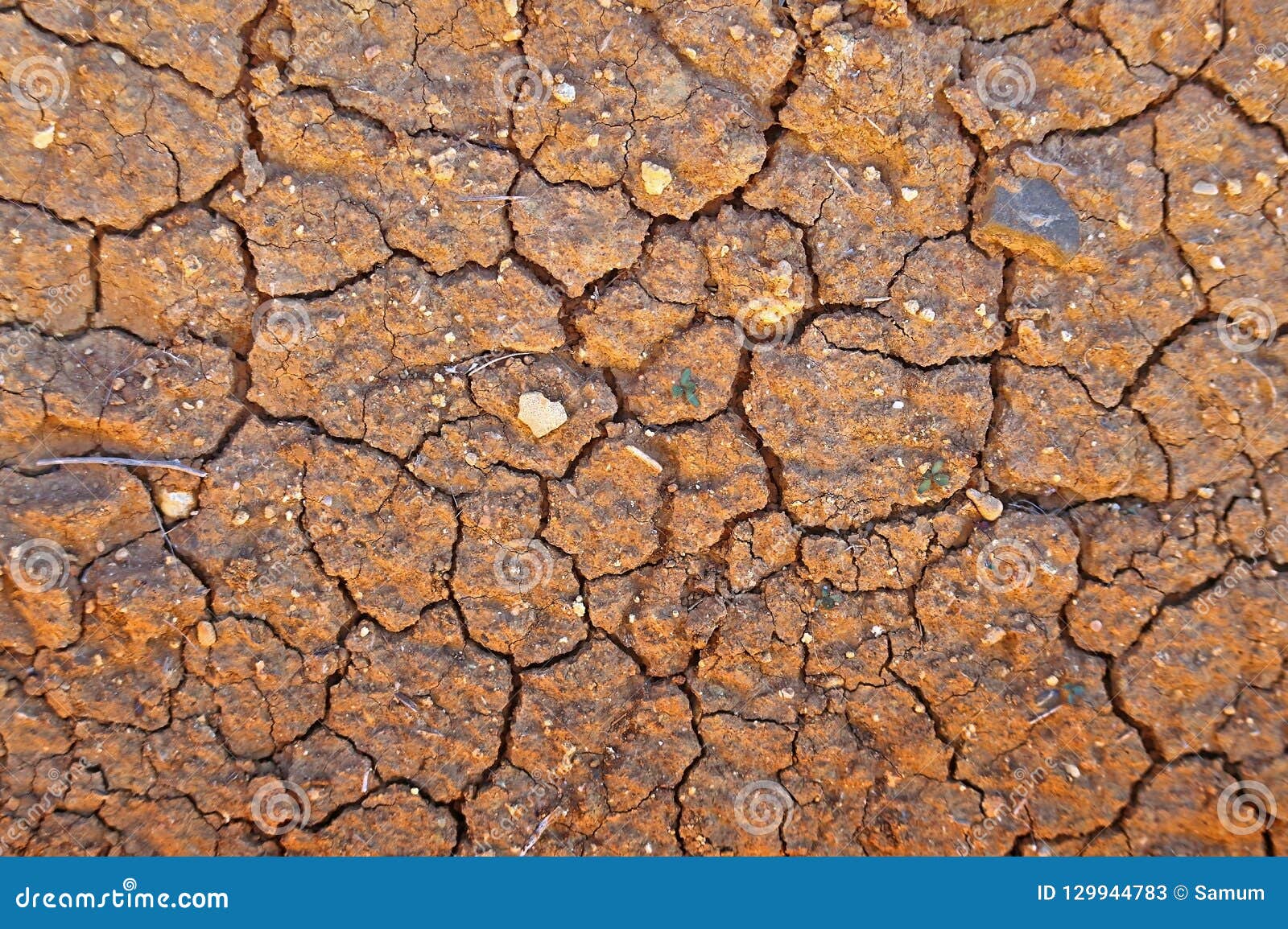 Dry cracked ground stock image. Image of earth, dust - 129944783