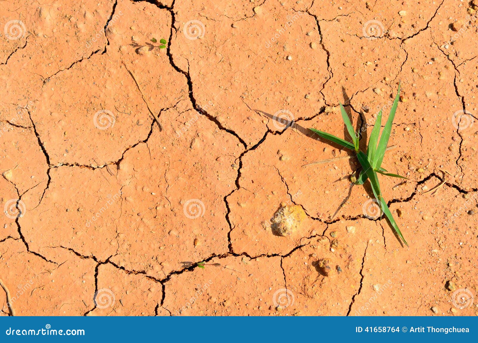 Dry Cracked Ground Filling the Frame Stock Photo - Image of detail ...