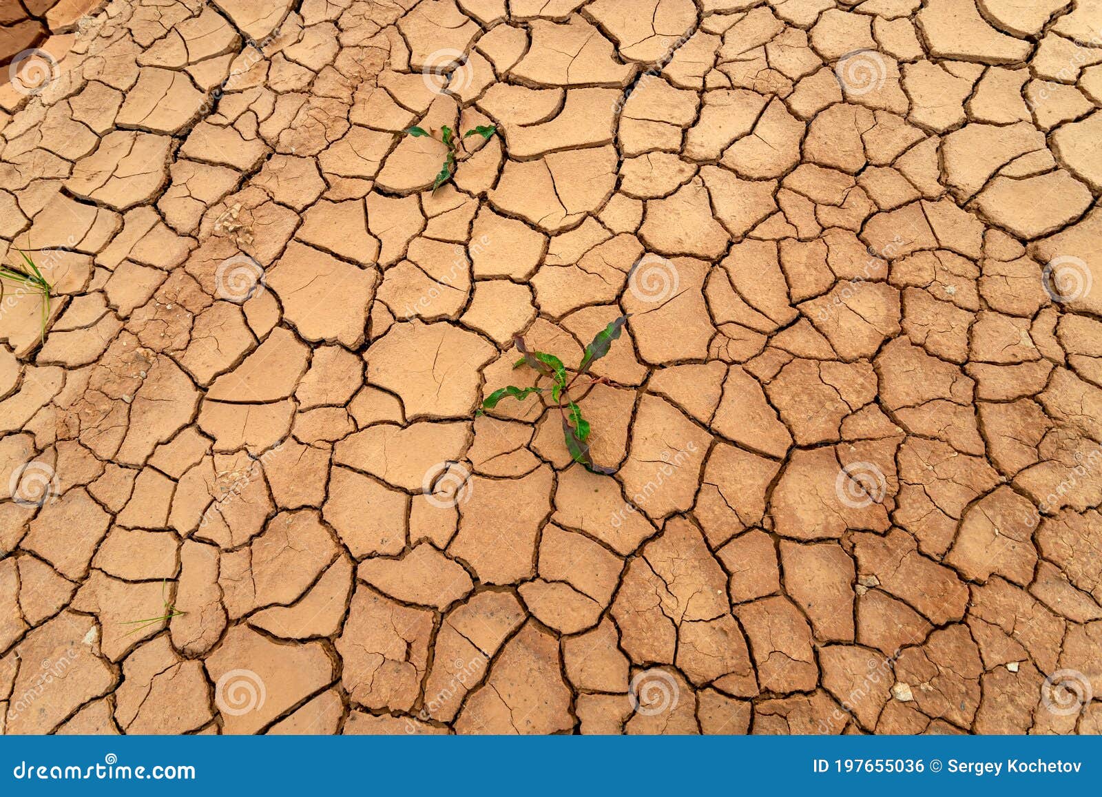 Dry, Cracked Ground into the Dry Season. Global Warming and Climate ...