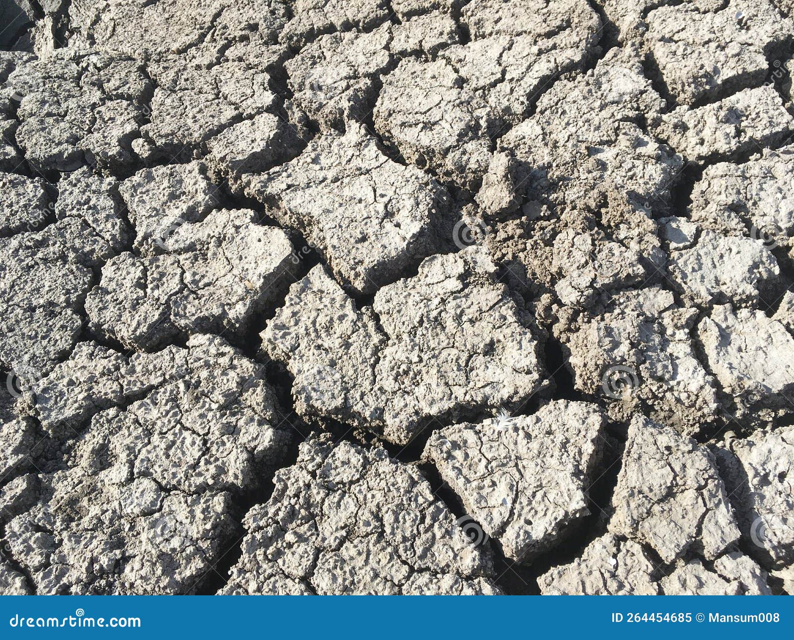 Dry cracked ground texture stock image. Image of pattern - 264454685
