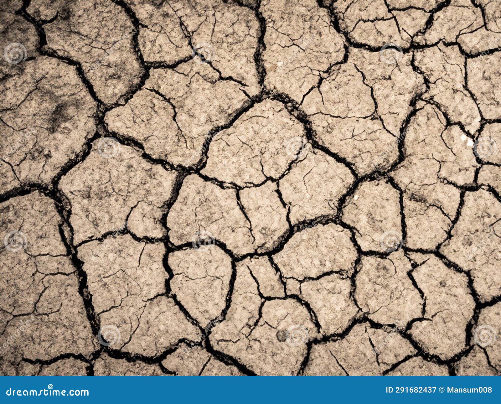 Dry cracked ground texture stock image. Image of warming - 291682437