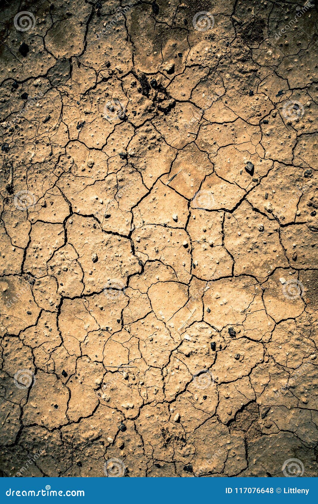 Dry cracked ground texture stock photo. Image of natural - 117076648