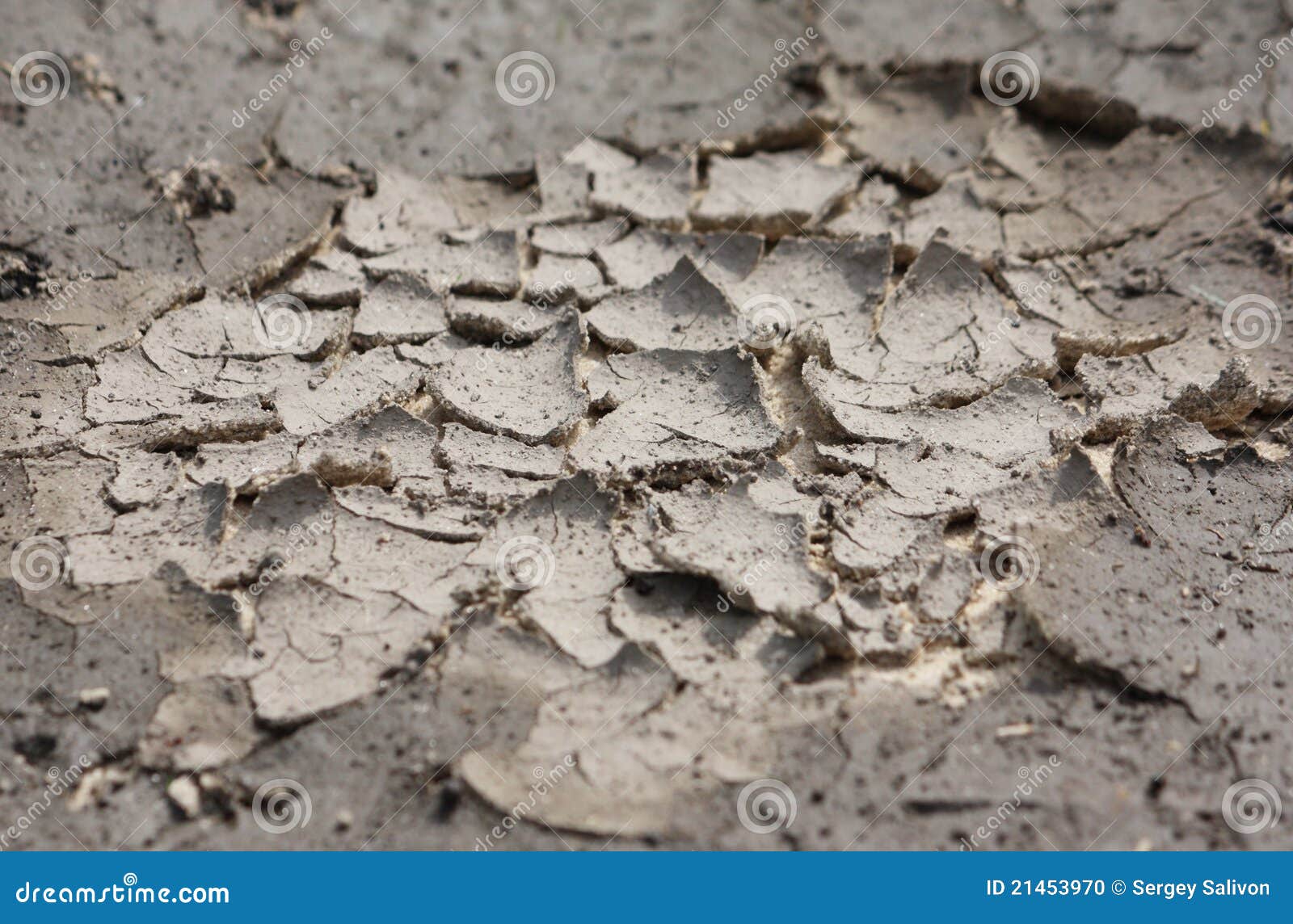 Dry cracked land stock photo. Image of dead, terrain - 21453970