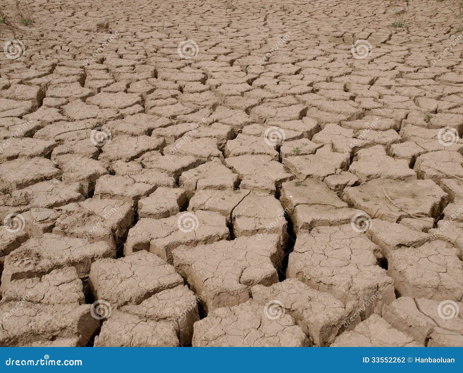 Dry cracked land stock photo. Image of barren, barrenness - 33552262
