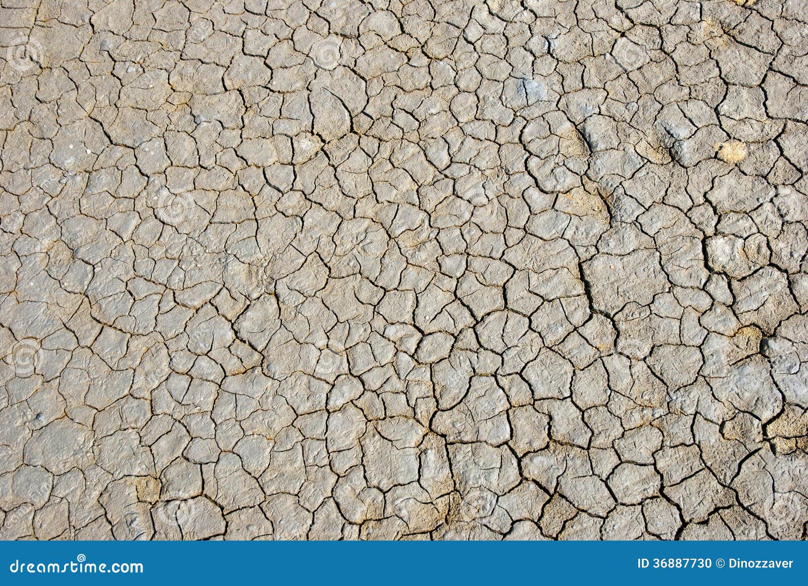 Dry cracked land stock photo. Image of desert, background - 36887730