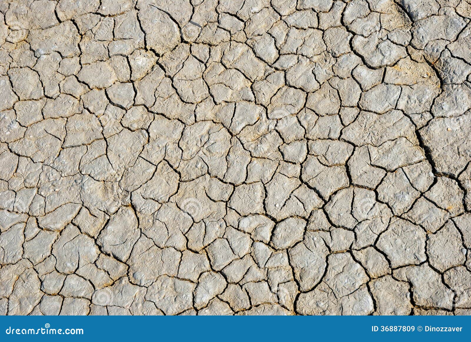 Dry cracked land stock image. Image of desert, crack - 36887809