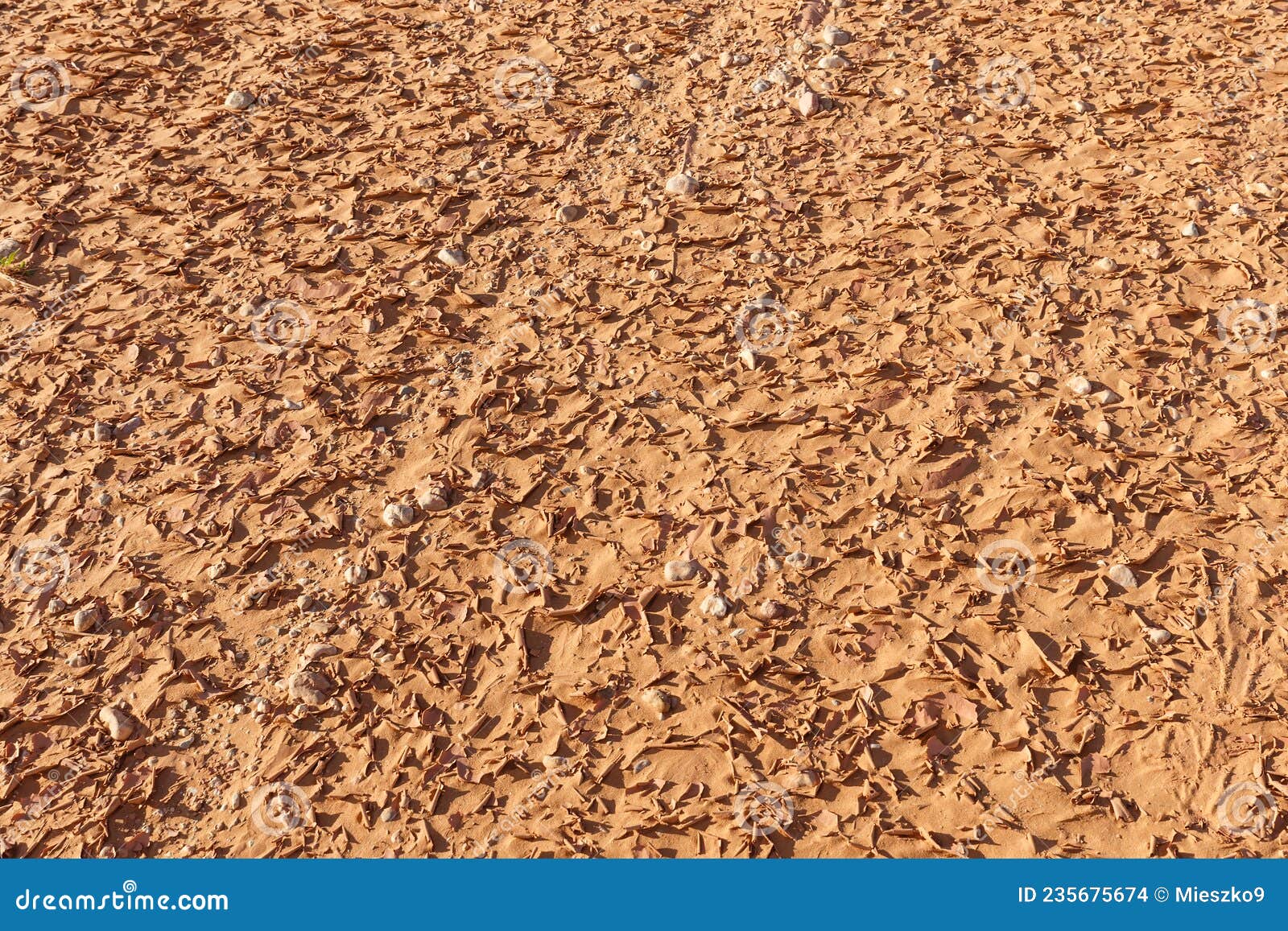 Dry Cracked Land in the Desert Stock Photo - Image of dust, desert ...