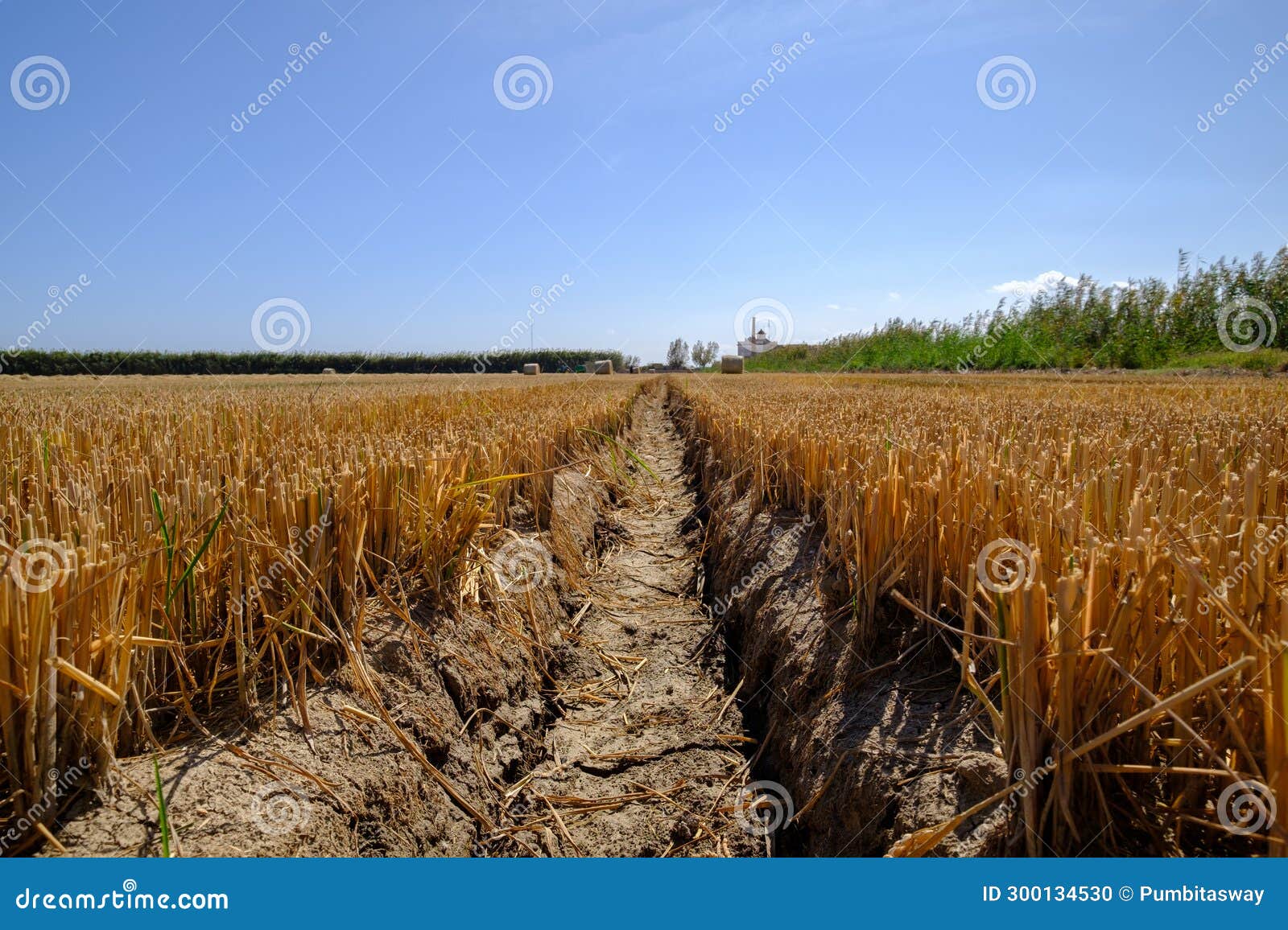 Dry and Cracked Land Drought Climate Problem, Affects Agriculture ...