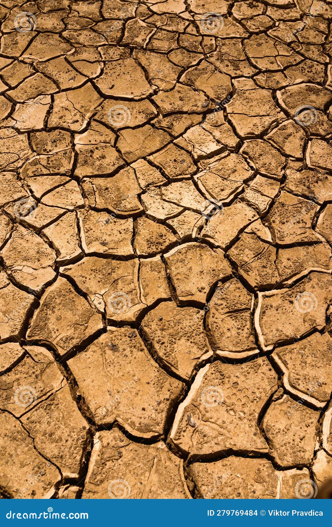 Dry cracked land stock photo. Image of grunge, disaster - 279769484