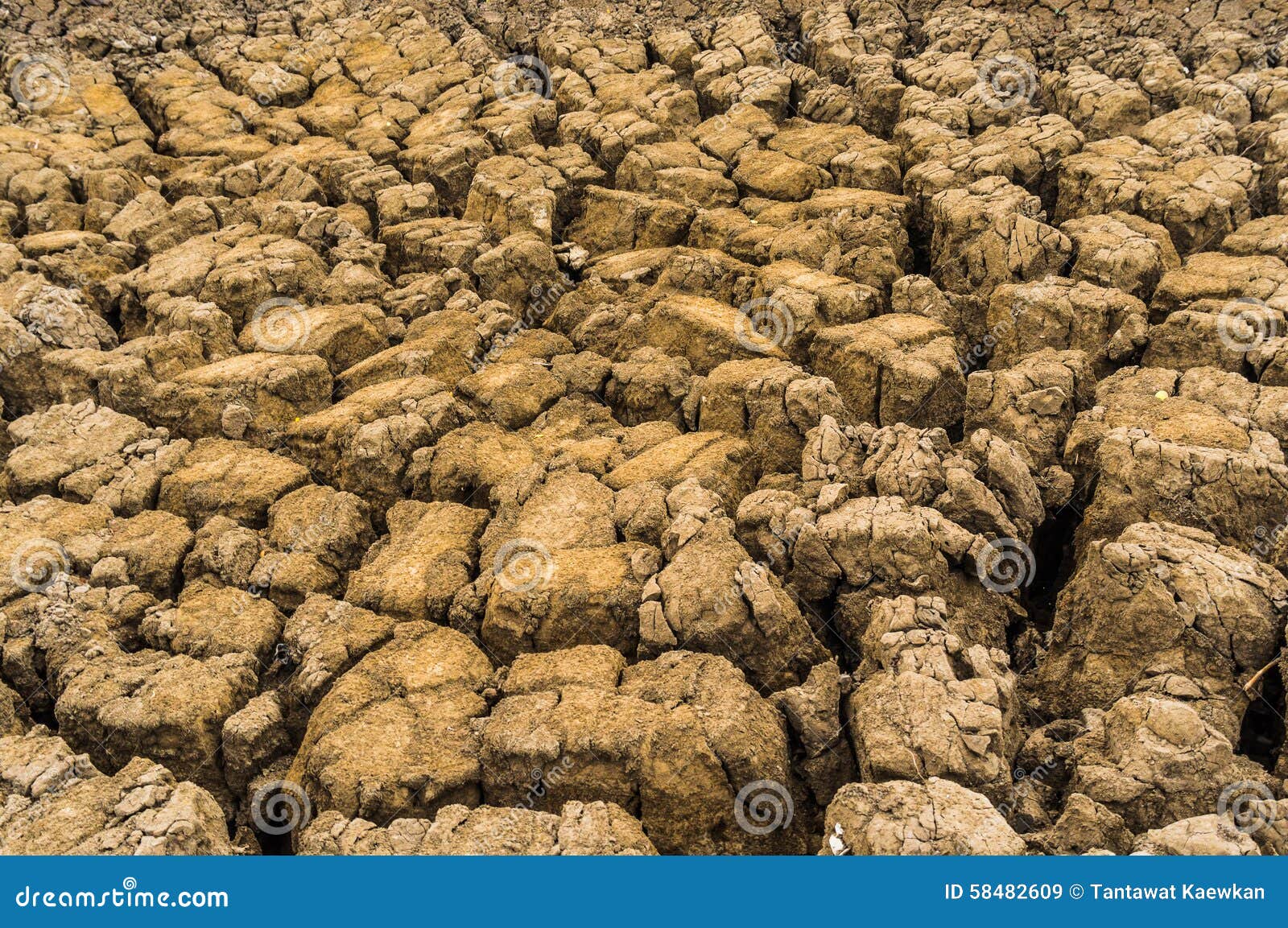 Dry cracked land stock image. Image of weather, soil - 58482609