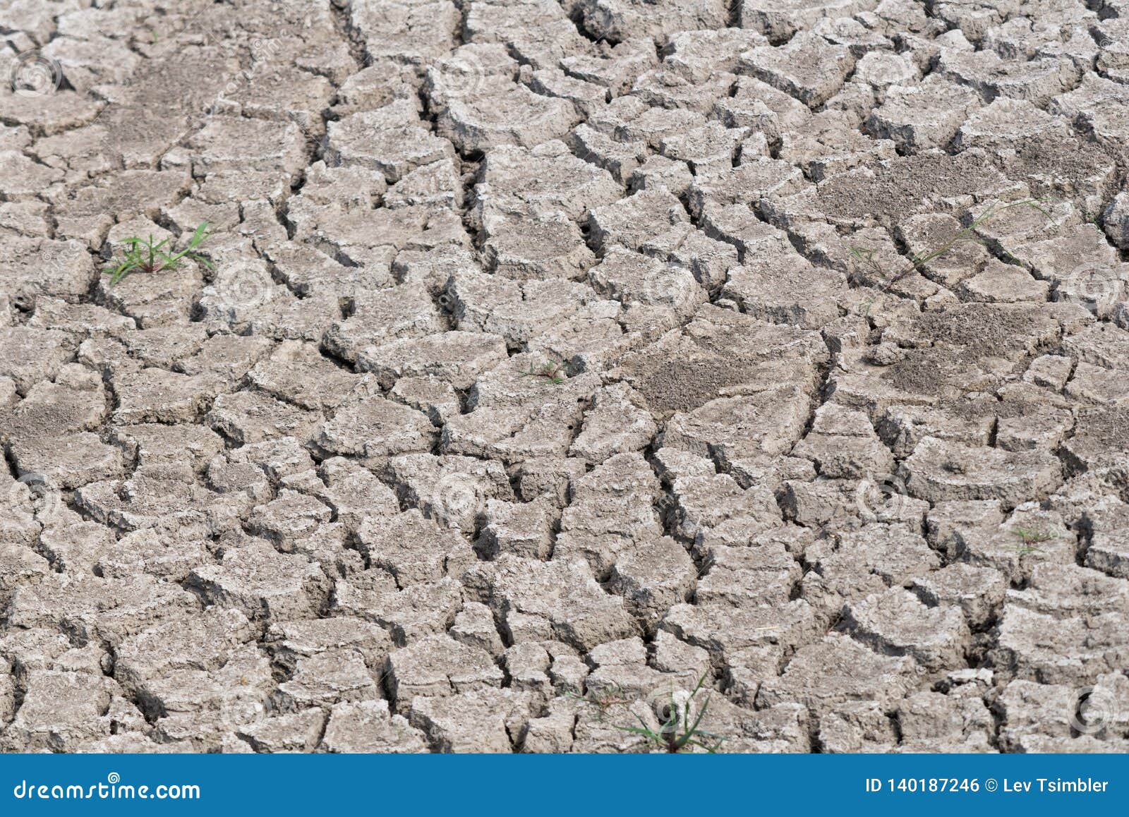 Dry and cracked land stock photo. Image of hefer, israel - 140187246