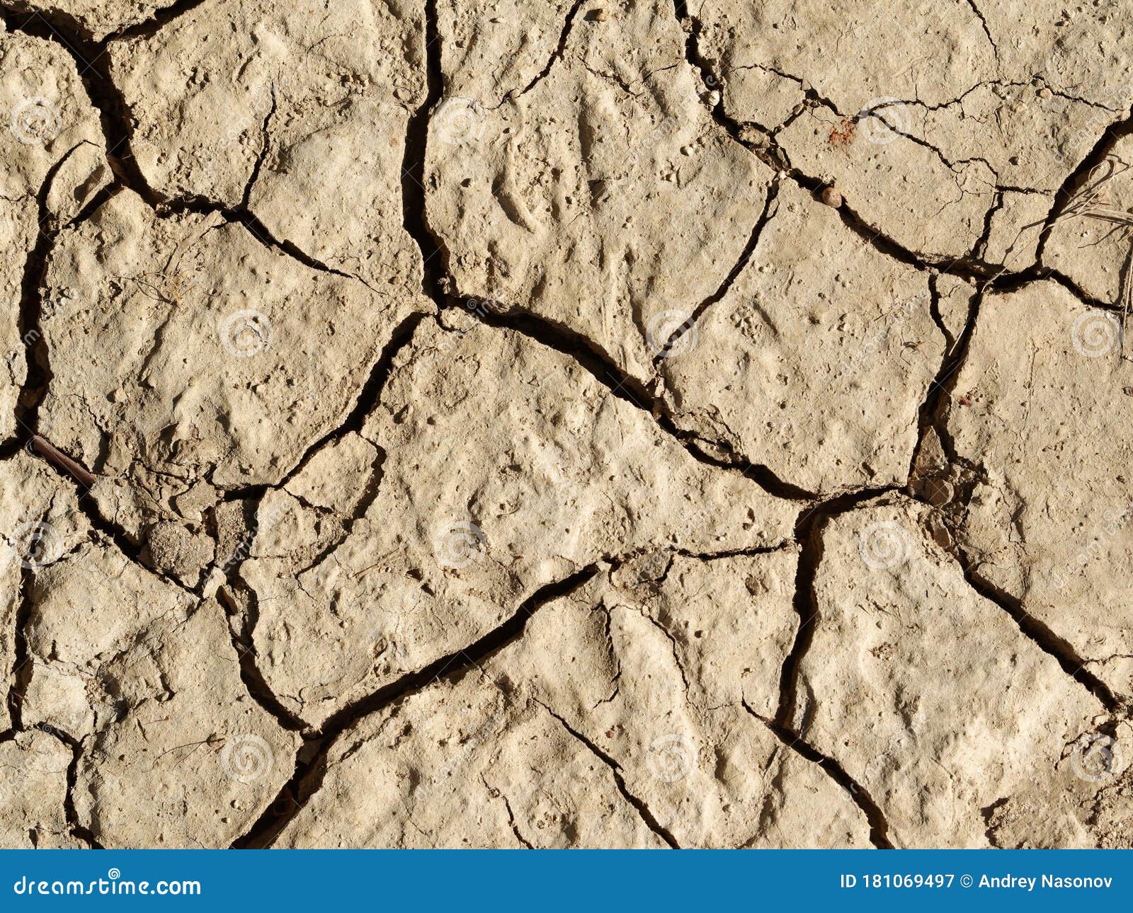 Dry cracked land. stock image. Image of ecology, barren - 181069497