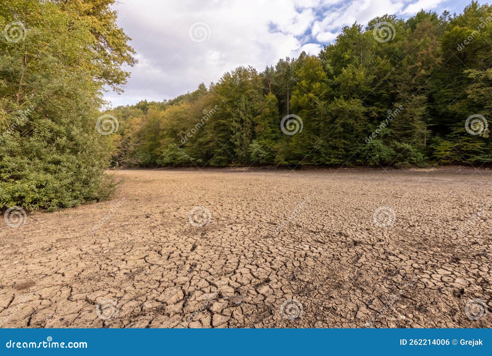 Rough Ground Surface, Texture with Desiccation Cracks Stock Photo ...