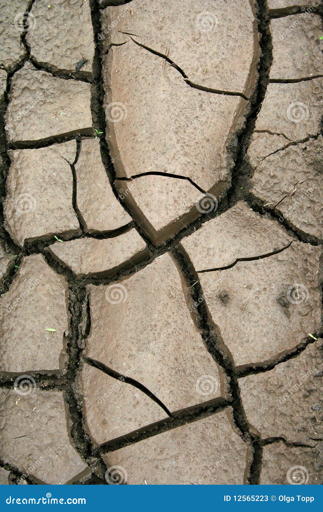 Dry cracked mud texture stock image. Image of cracks - 12565223
