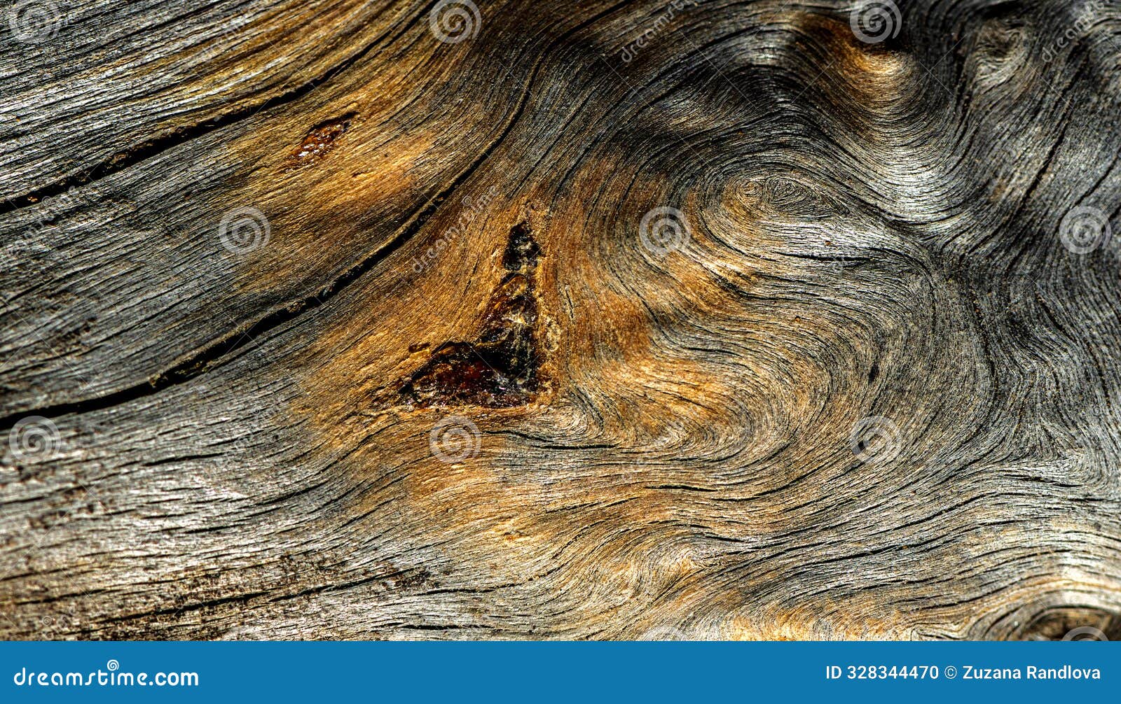A Dry, Cracked Old Root. Background Stock Photo - Image of aged, wooden ...