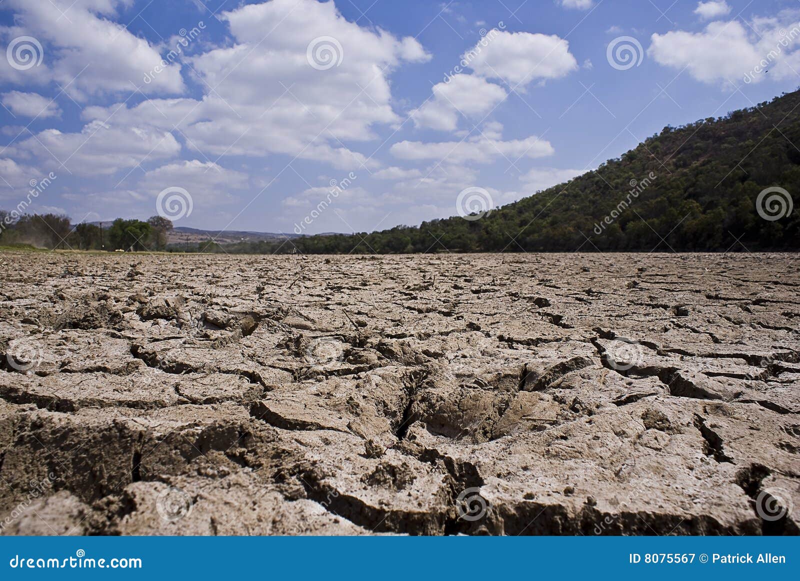 Dry Cracked Riverbed stock image. Image of death, survival - 8075567