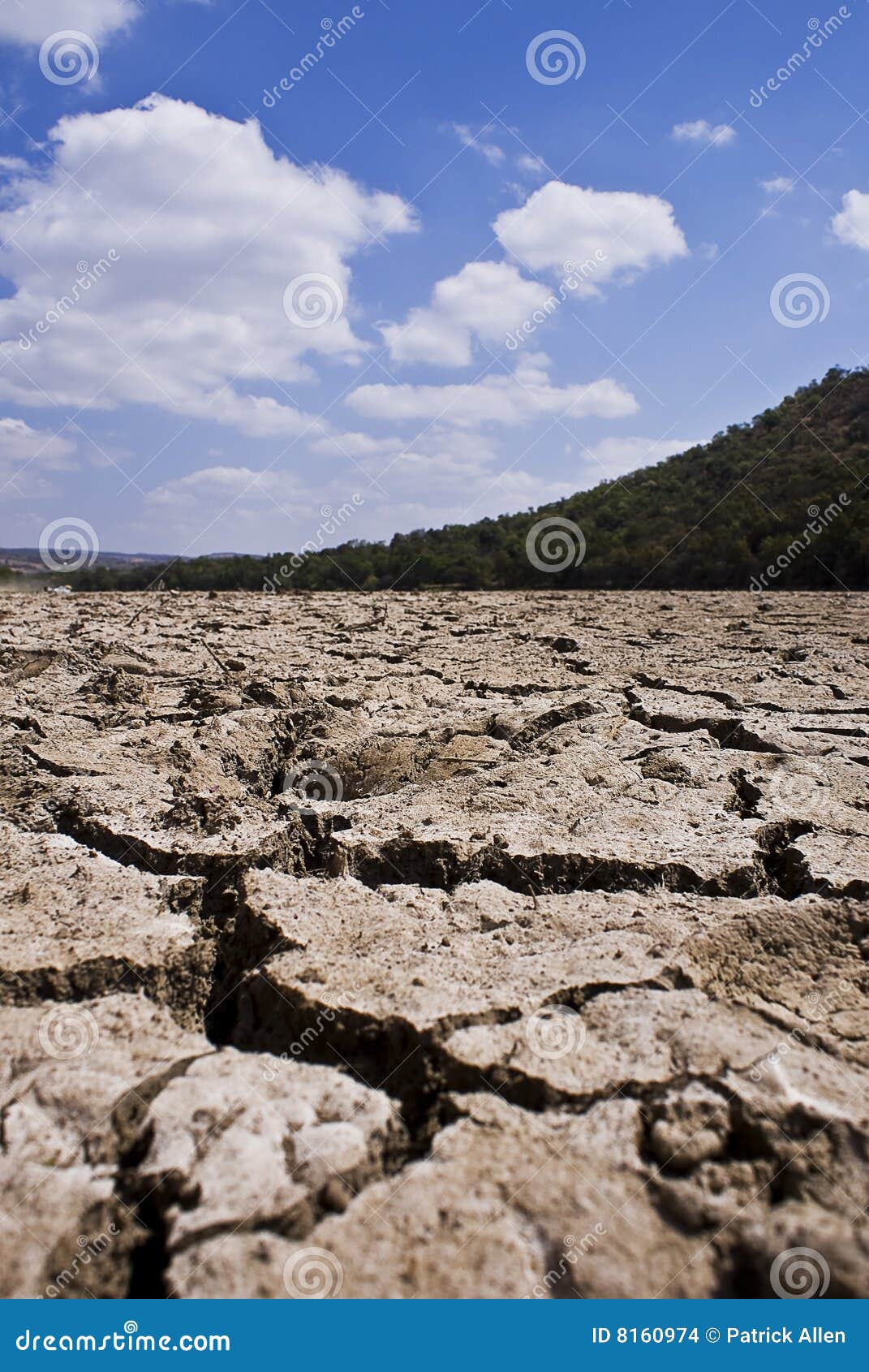 Dry Cracked Riverbed - Portrait Stock Photo - Image of hardened, dried ...