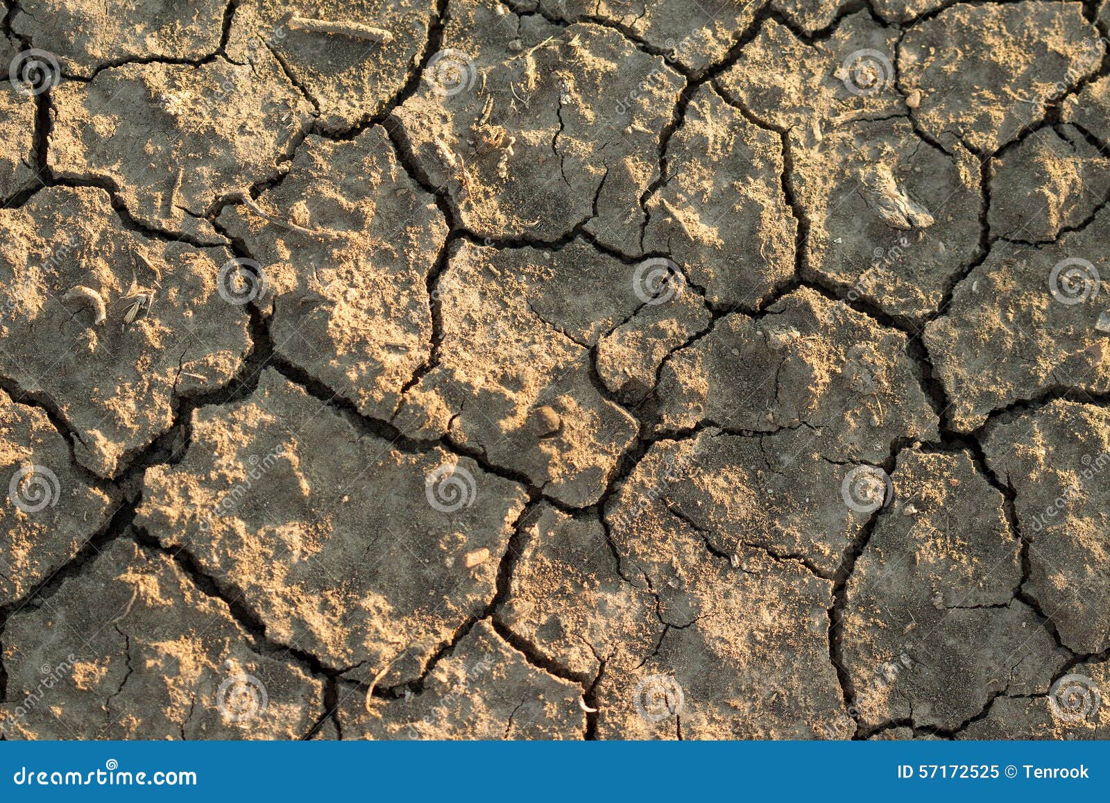 Dry cracked soil closeup stock image. Image of backdrop - 57172525