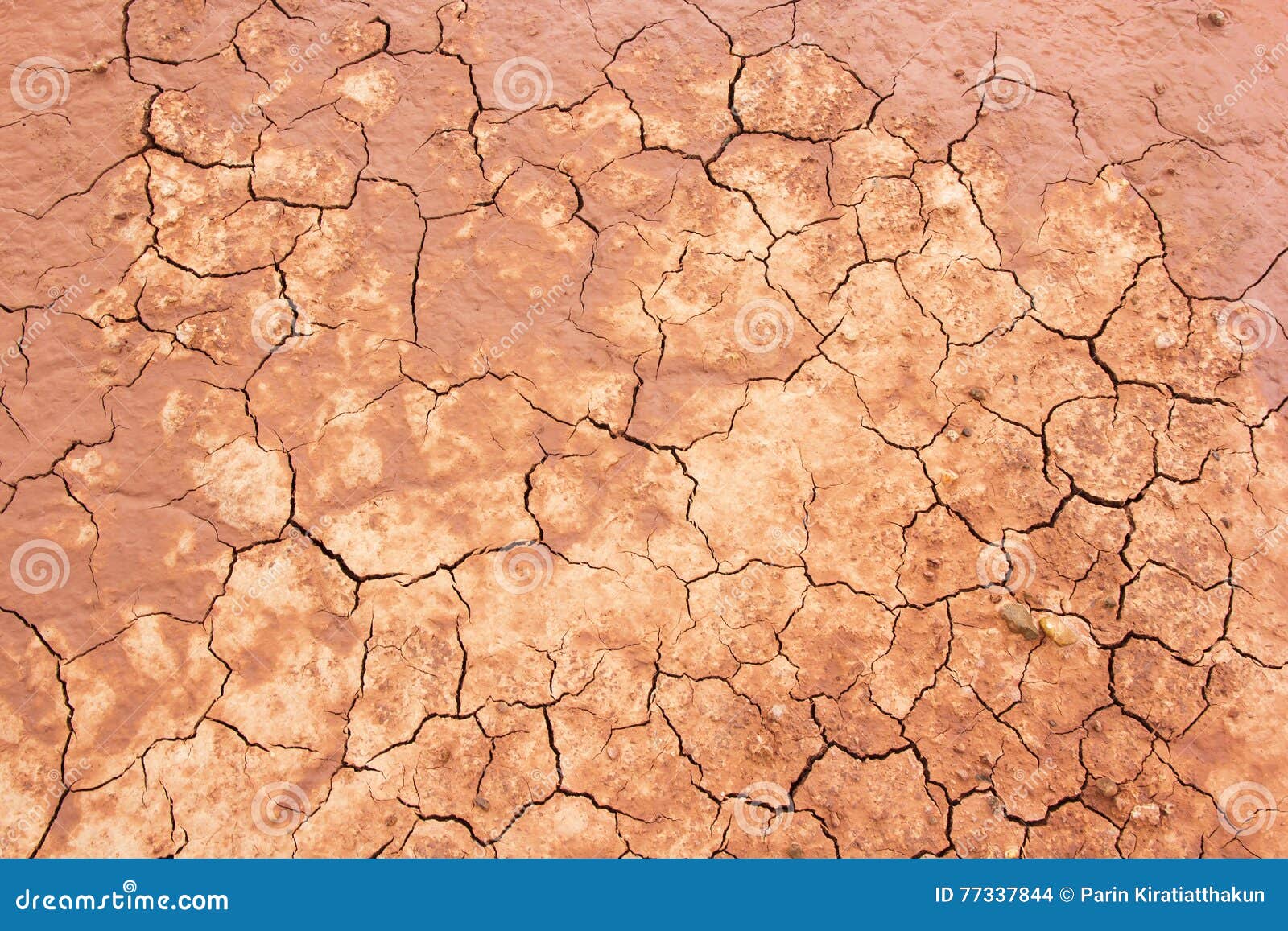 Dry cracked soil stock photo. Image of cracks, clay, texture - 77337844