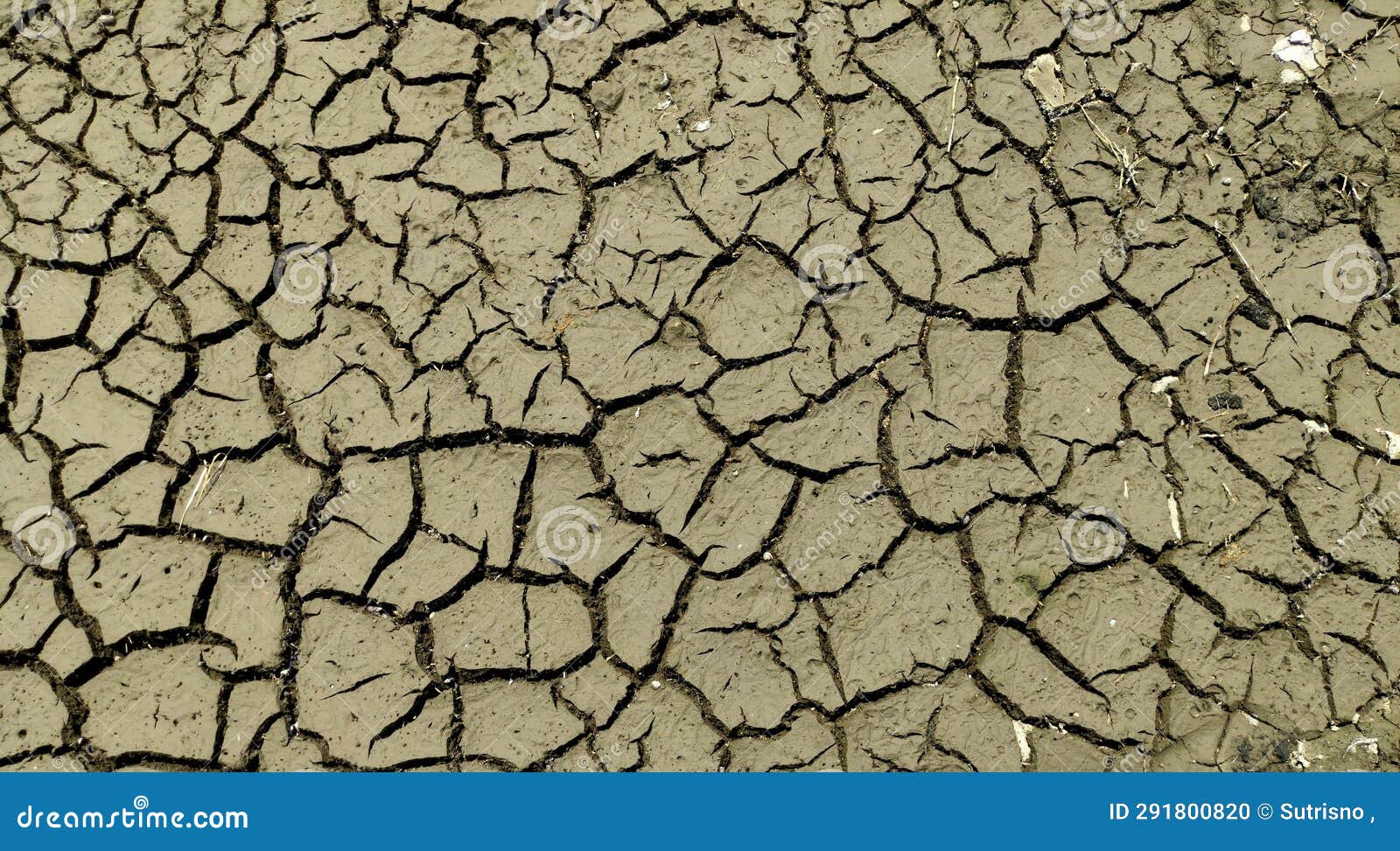 Dry Cracked Soil during Drought on Gray Soil. Stock Photo - Image of ...