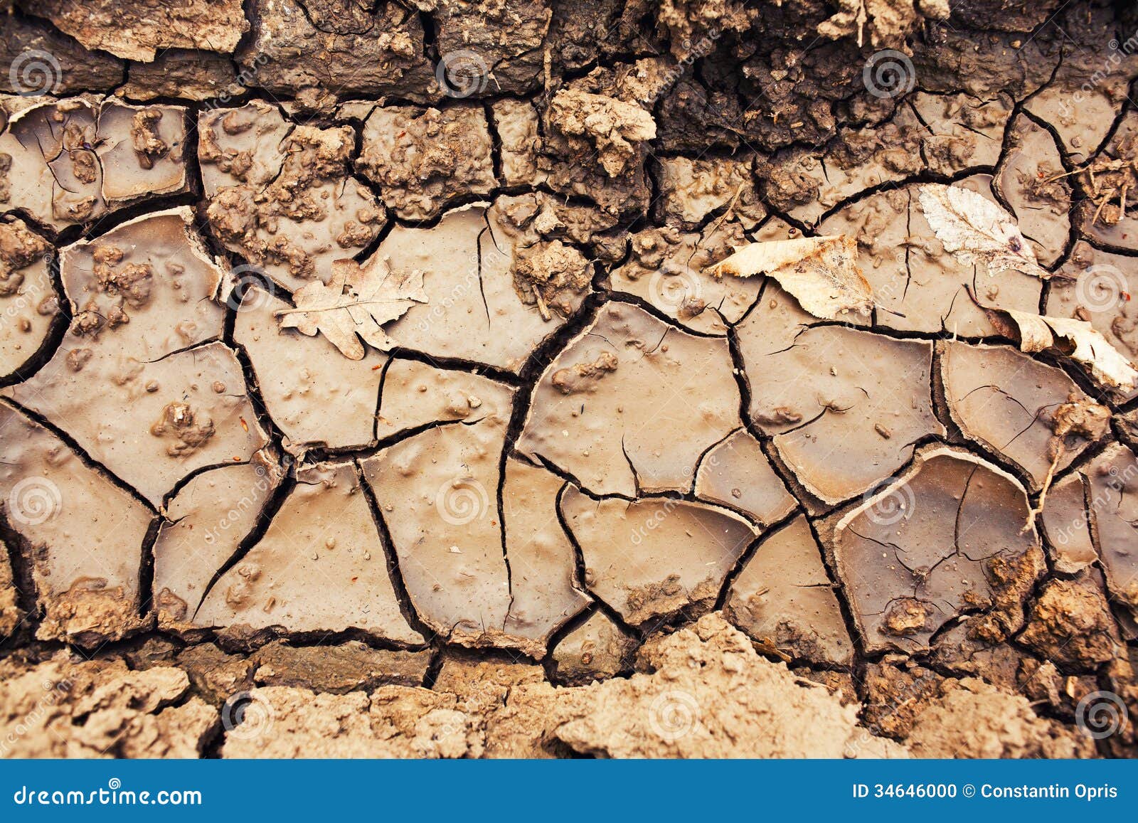 Dry cracked soil stock photo. Image of natural, texture - 34646000