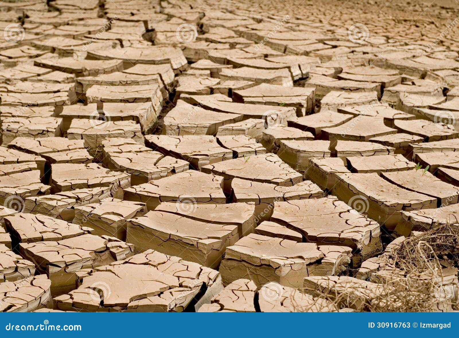 Dry cracked soil stock image. Image of damaged, backgrounds - 30916763