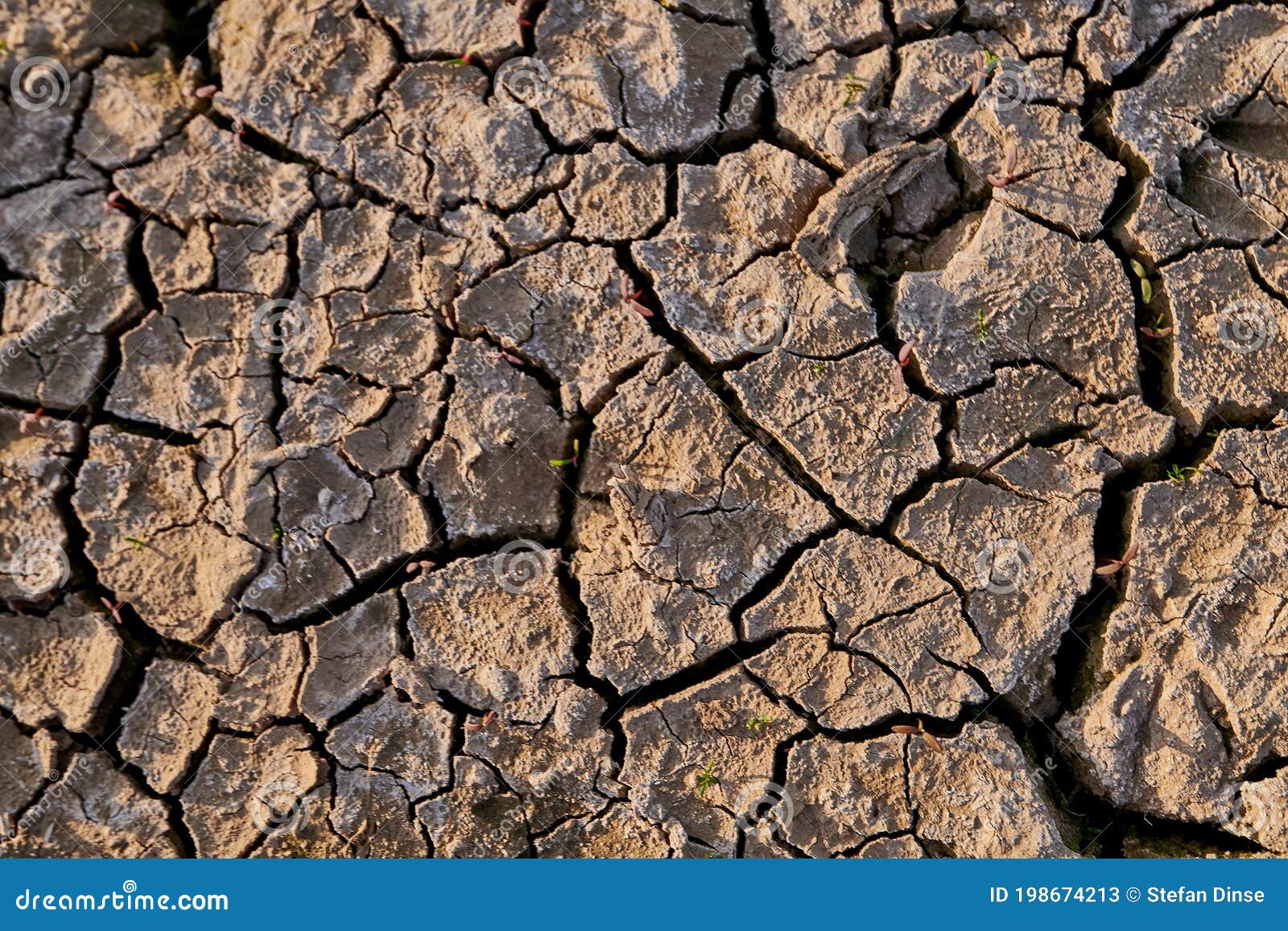 Dry and Cracked Soil on Farming Land Stock Image - Image of summer ...