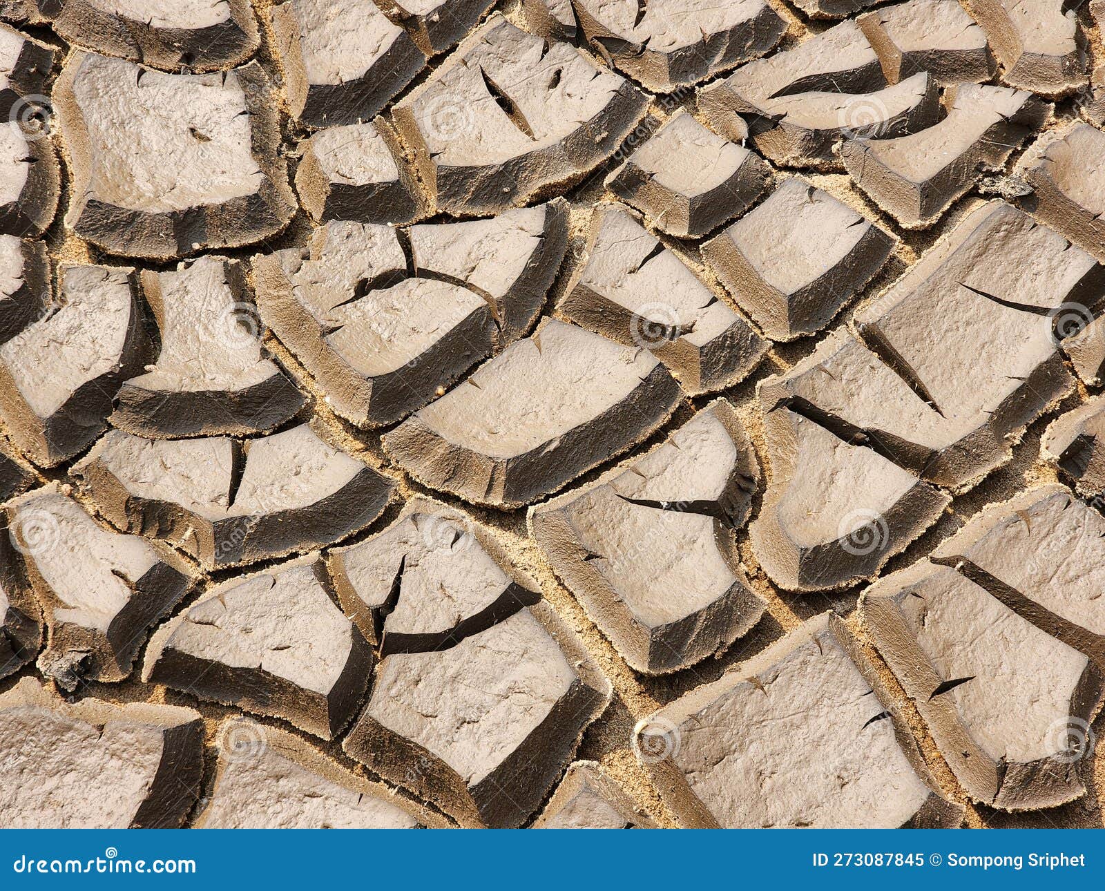 Dry and Cracked Soil or Sediment the Treatment Pond Stock Image - Image ...