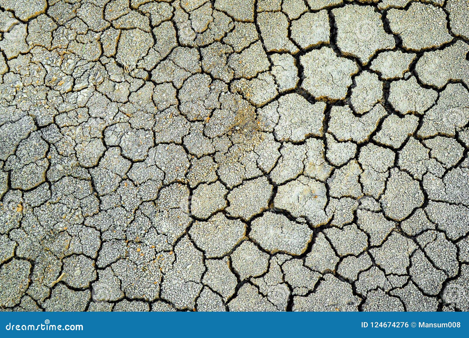 Dry cracked soil texture stock photo. Image of natural - 124674276