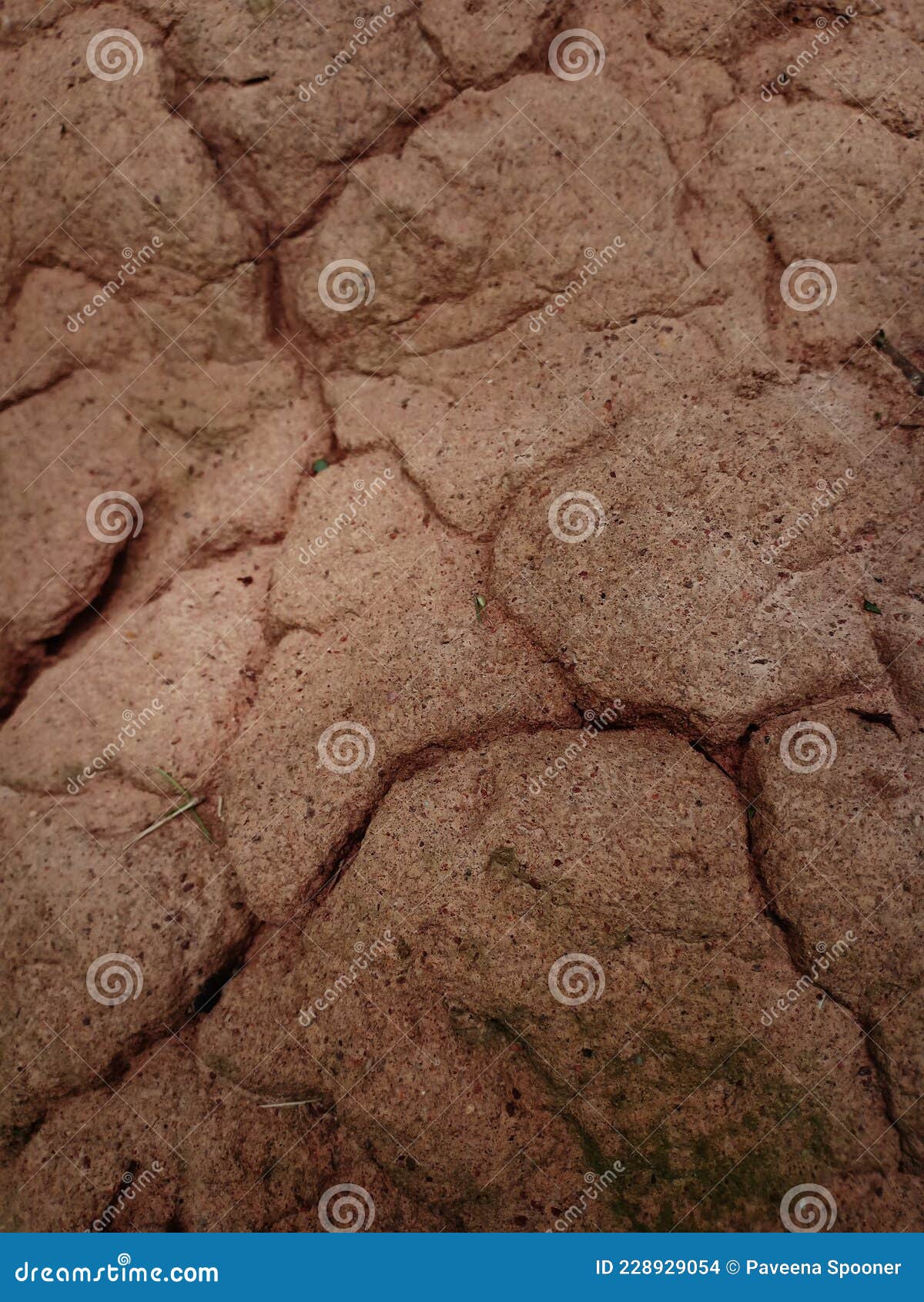 Dry Cracked Soil Texture Background. Arid Red Clay Desert Stock Photo ...