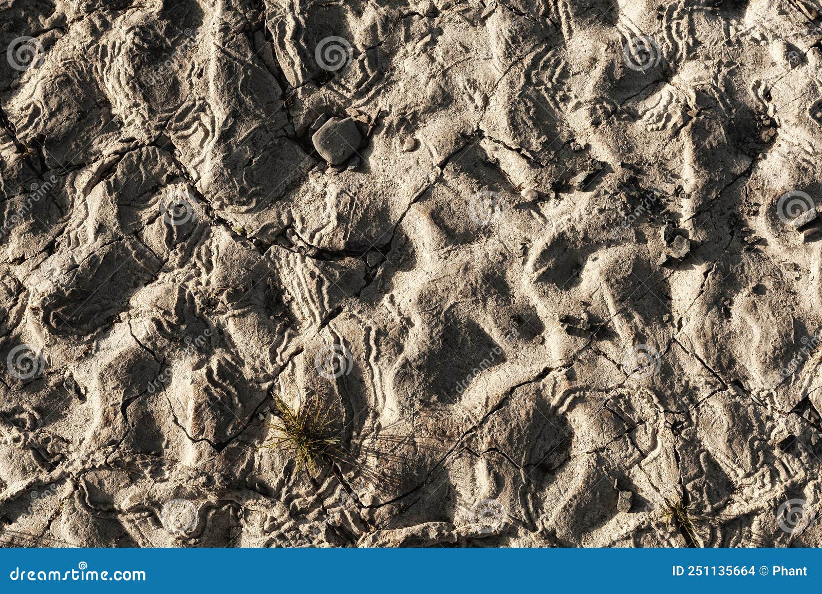 Dry Cracked Soil Texture, Cracked Parched Earth. Stock Photo - Image of ...