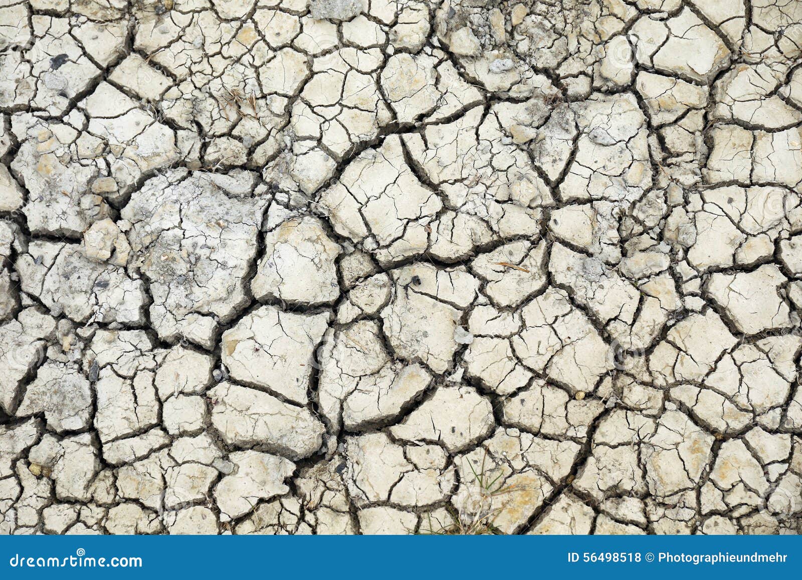 Dry cracks stock photo. Image of harvest, change, earth - 56498518