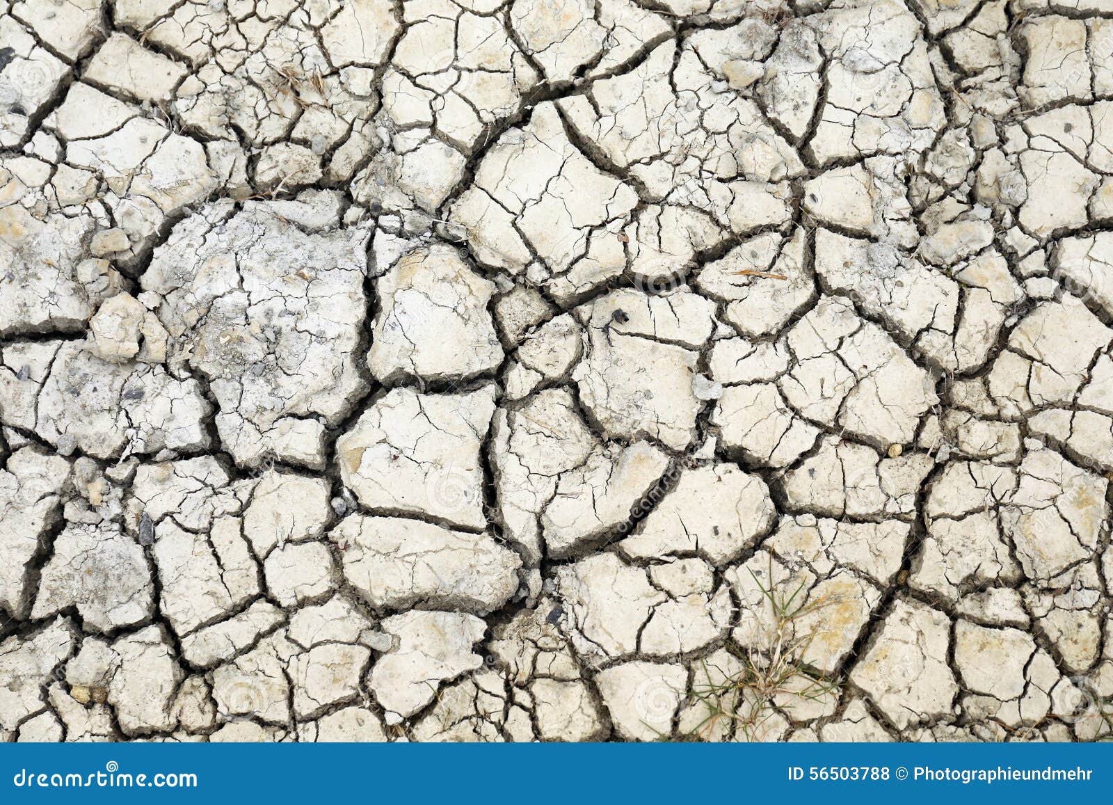 Dry cracks stock photo. Image of arid, soil, starvation - 56503788