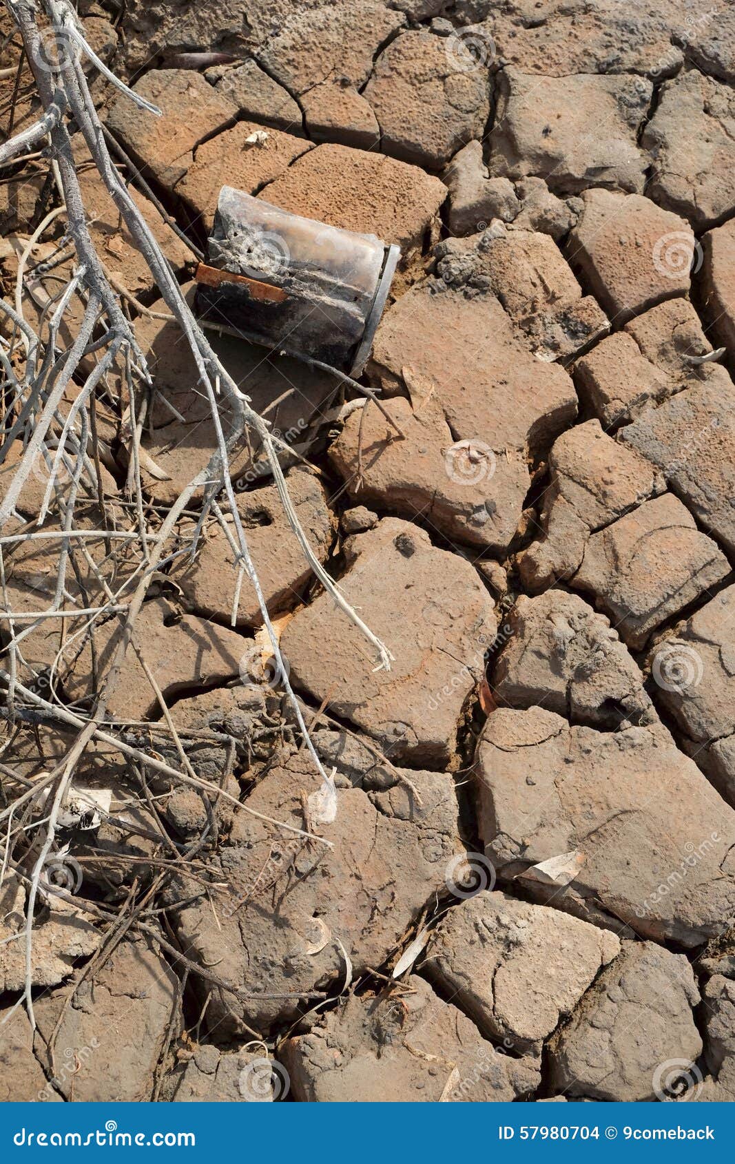 Dry cracks stock photo. Image of texture, dying, dried - 57980704