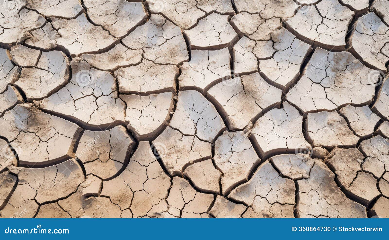 Dry cracks texture stock photo. Image of scarcity, desert - 360864730