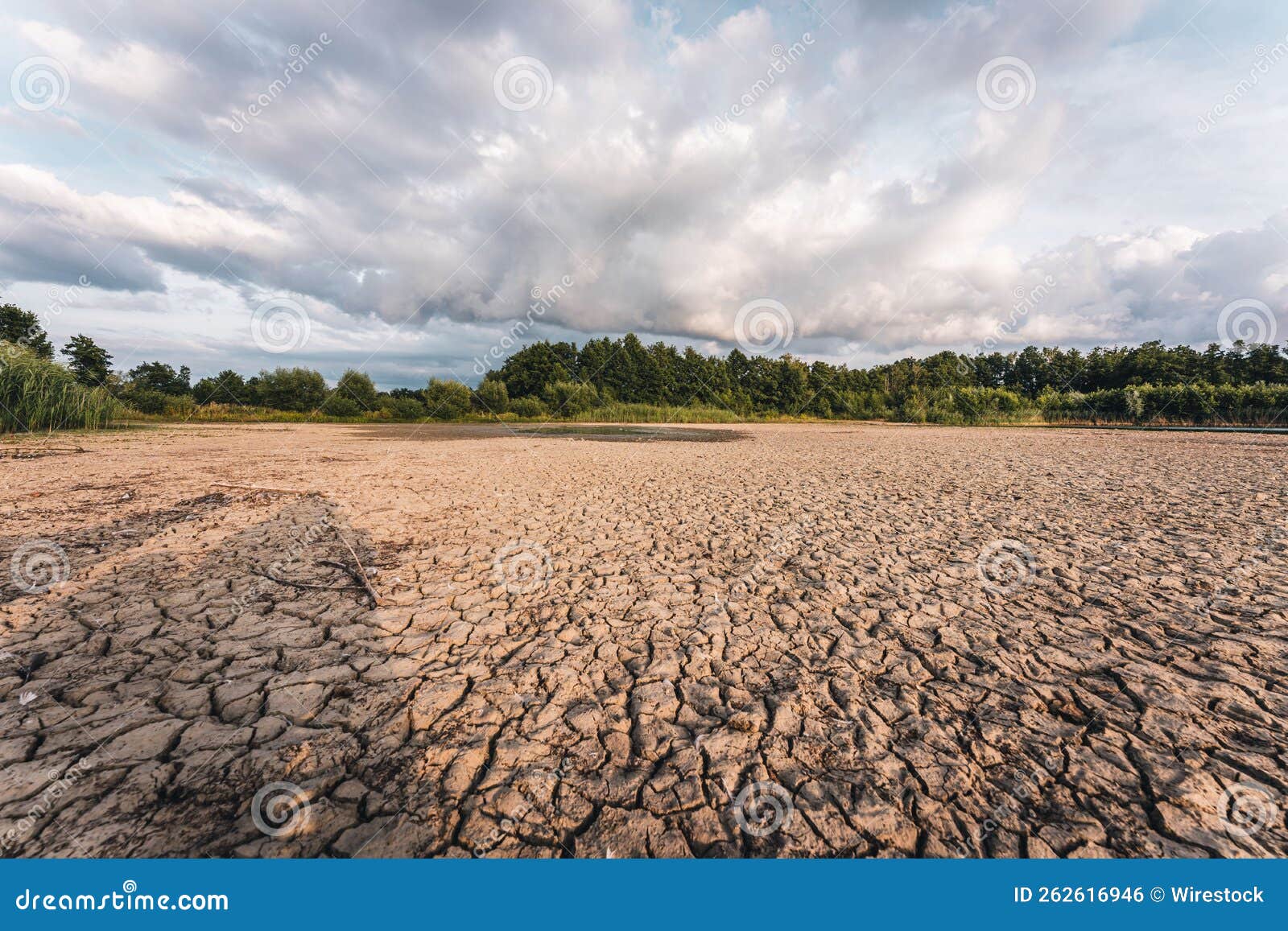 Dry Cracks and Water Shortages on the Field- Concept of Global Warming ...