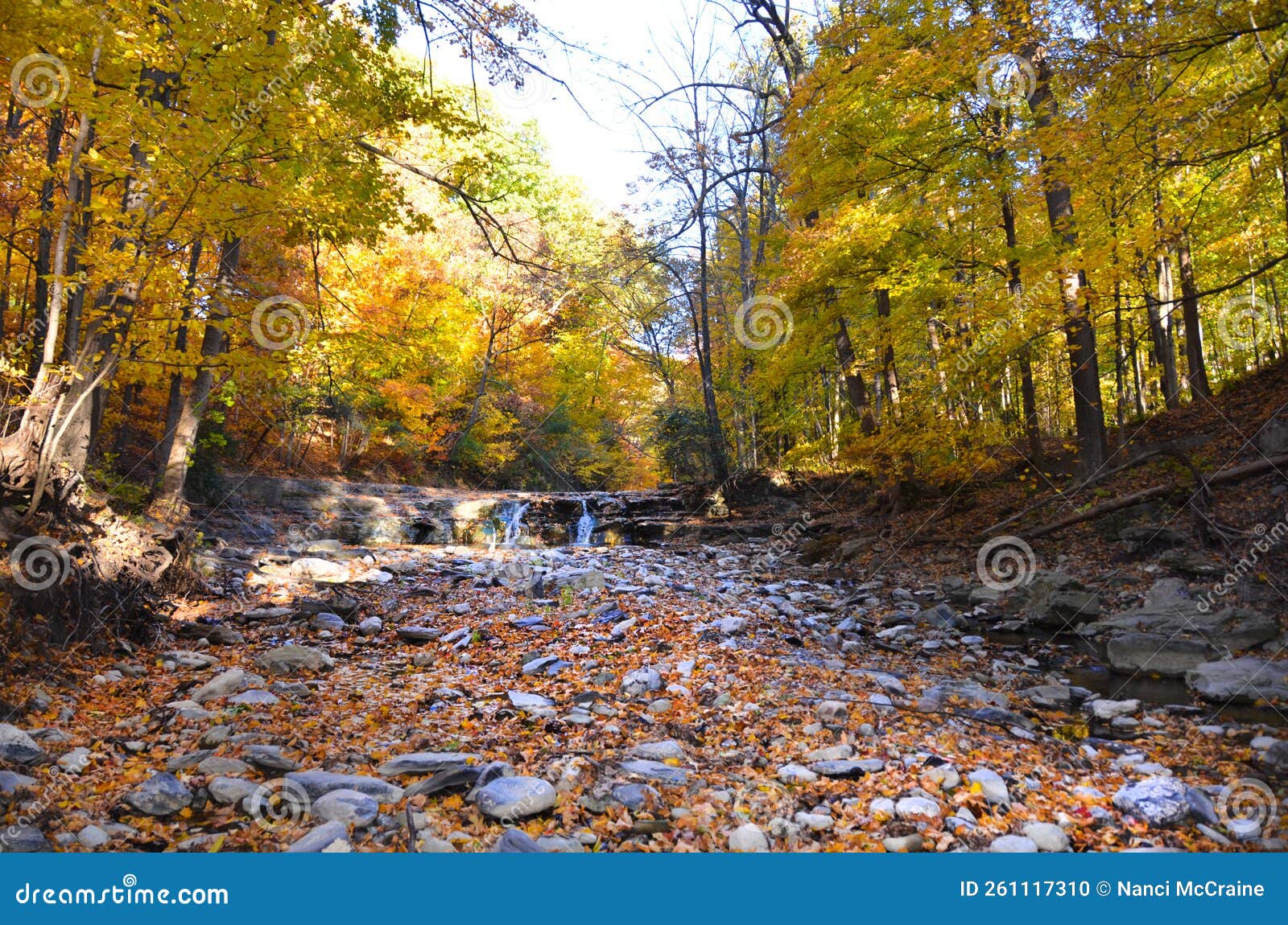 Cayuga Lake Tributary Dry Creek Bed at Great Gully Waterfall in Autumn ...