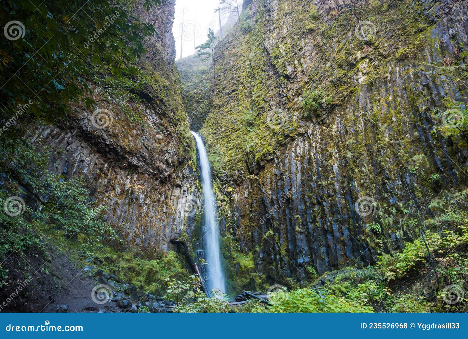 Dry Creek Falls Surounded by Basaltic Organs Stock Photo - Image of ...