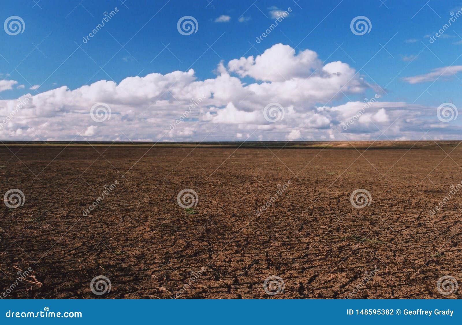 Dry Dam on a Rural Farm in Australia Stock Photo - Image of summer ...