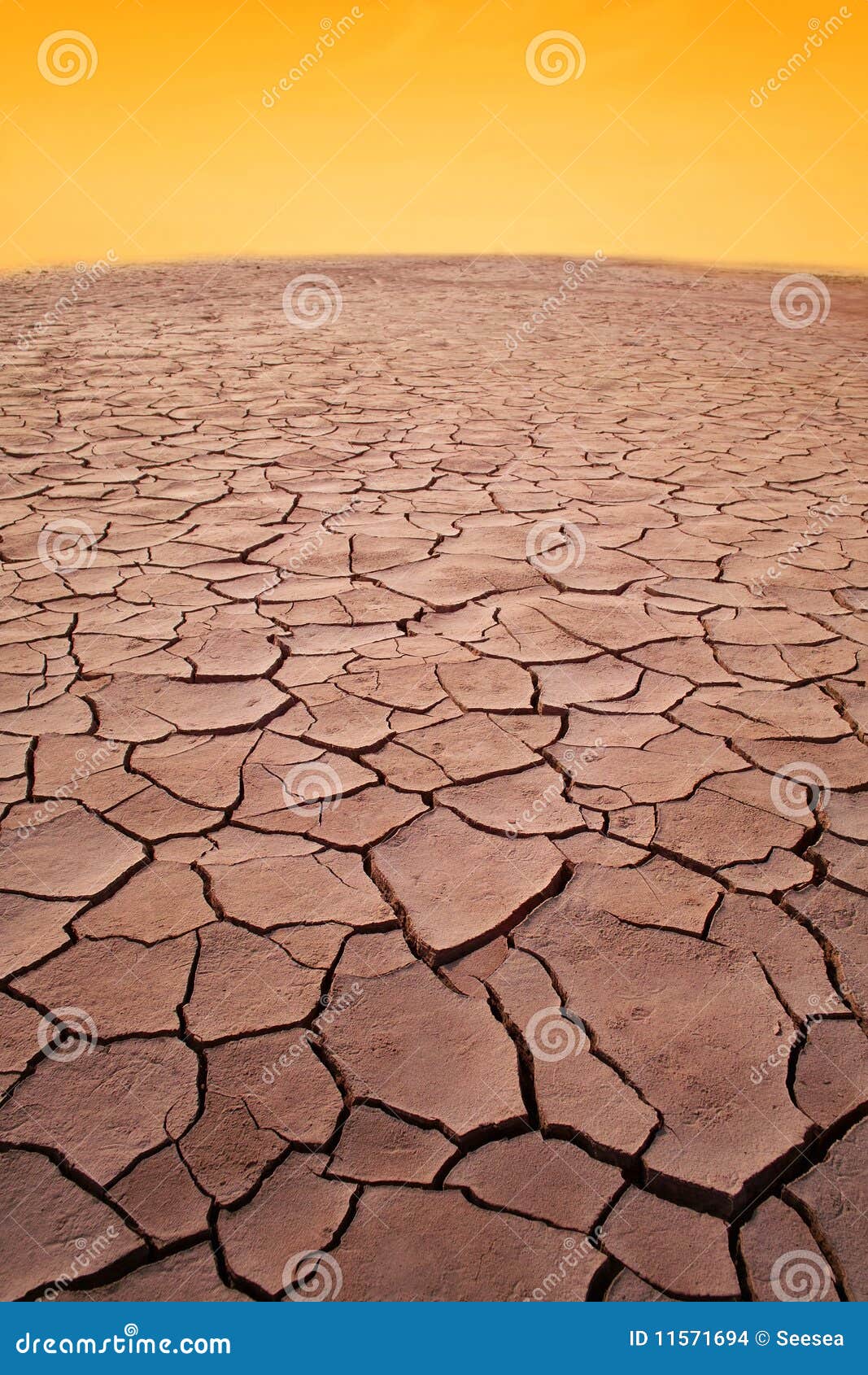 Dry desert stock photo. Image of famine, ruined, clay - 11571694