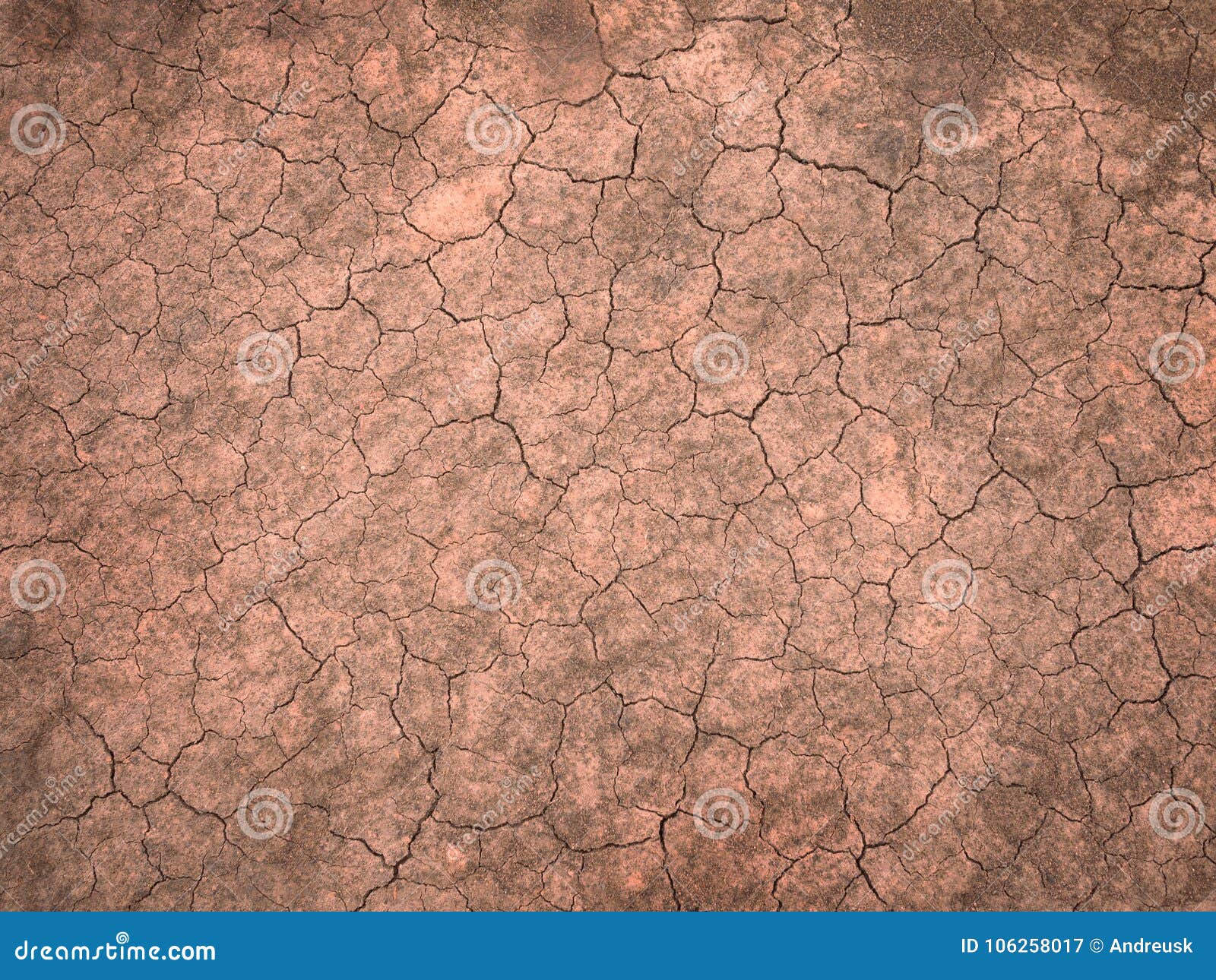 Desert Ground Texture