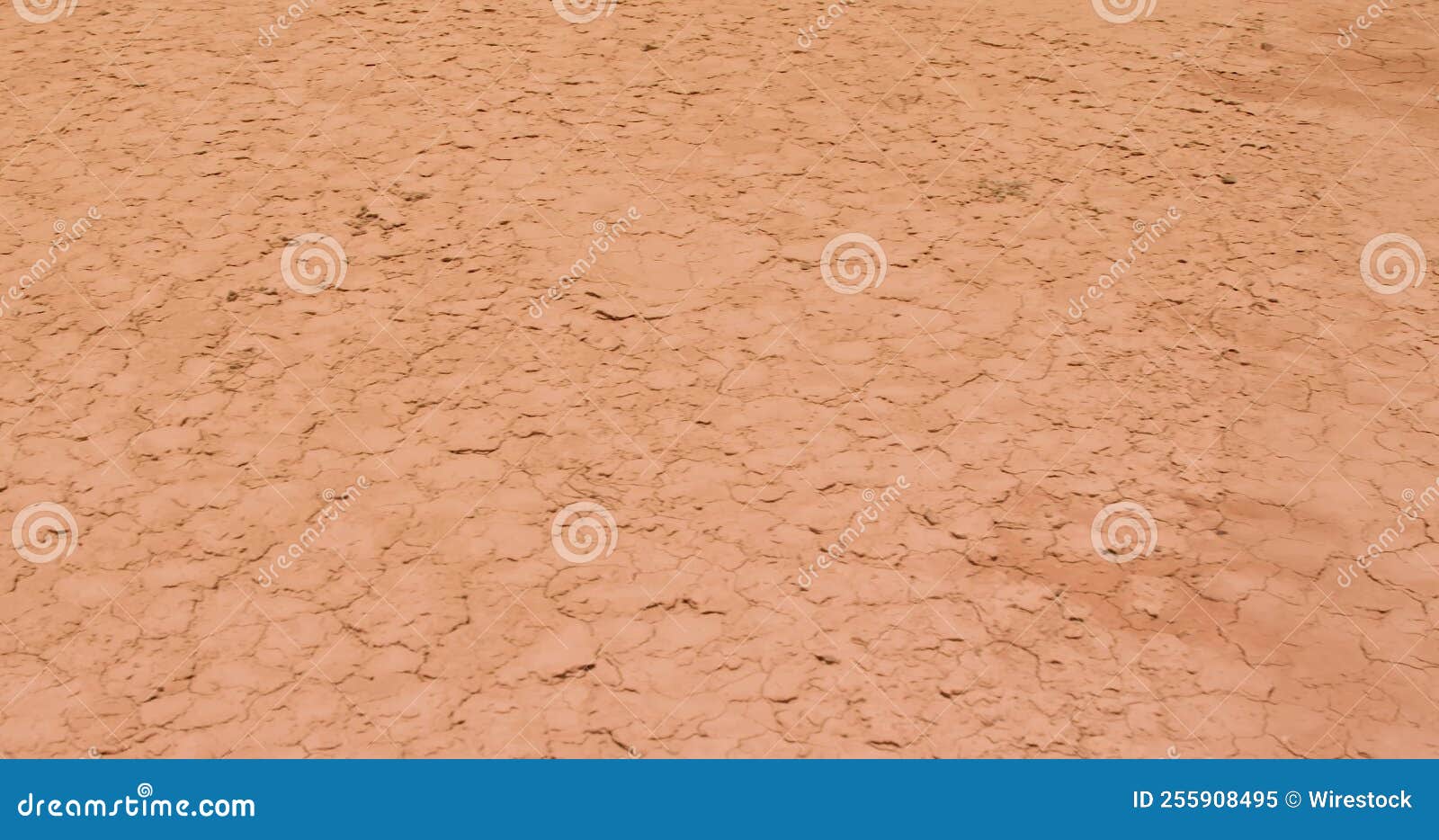 Dry Desert Ground Full of Cracks and Patterns Stock Video - Video of ...